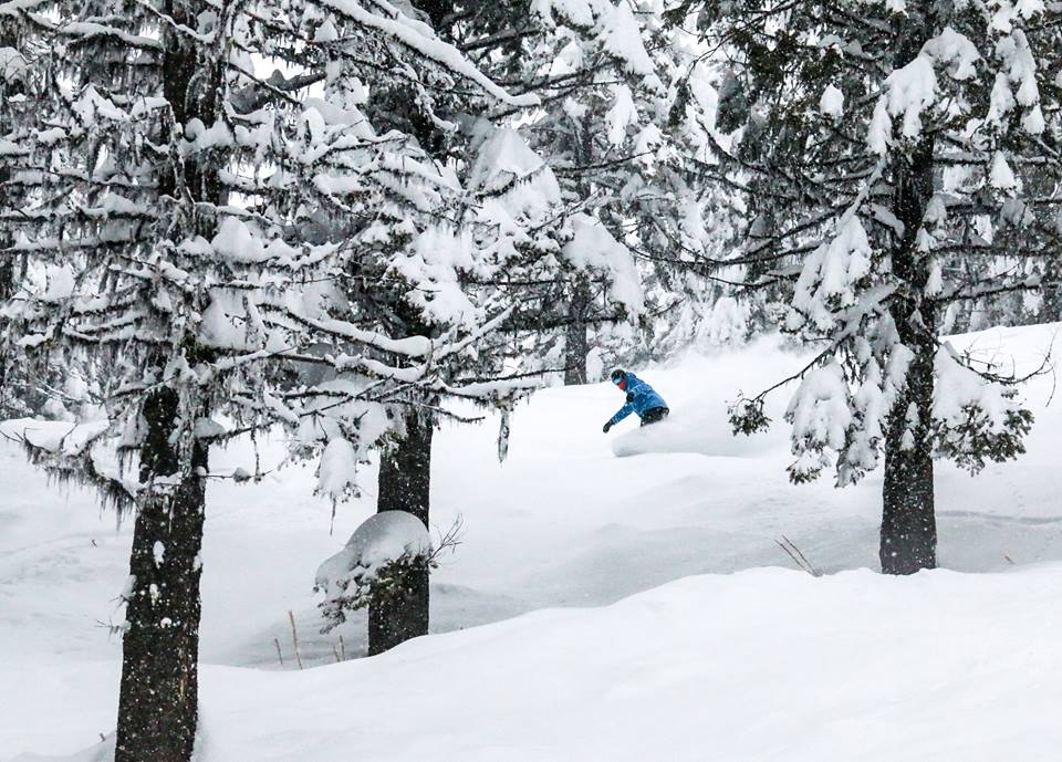 Skier Dies From Tree-Well Snow Immersion In Montana - Unofficial Networks