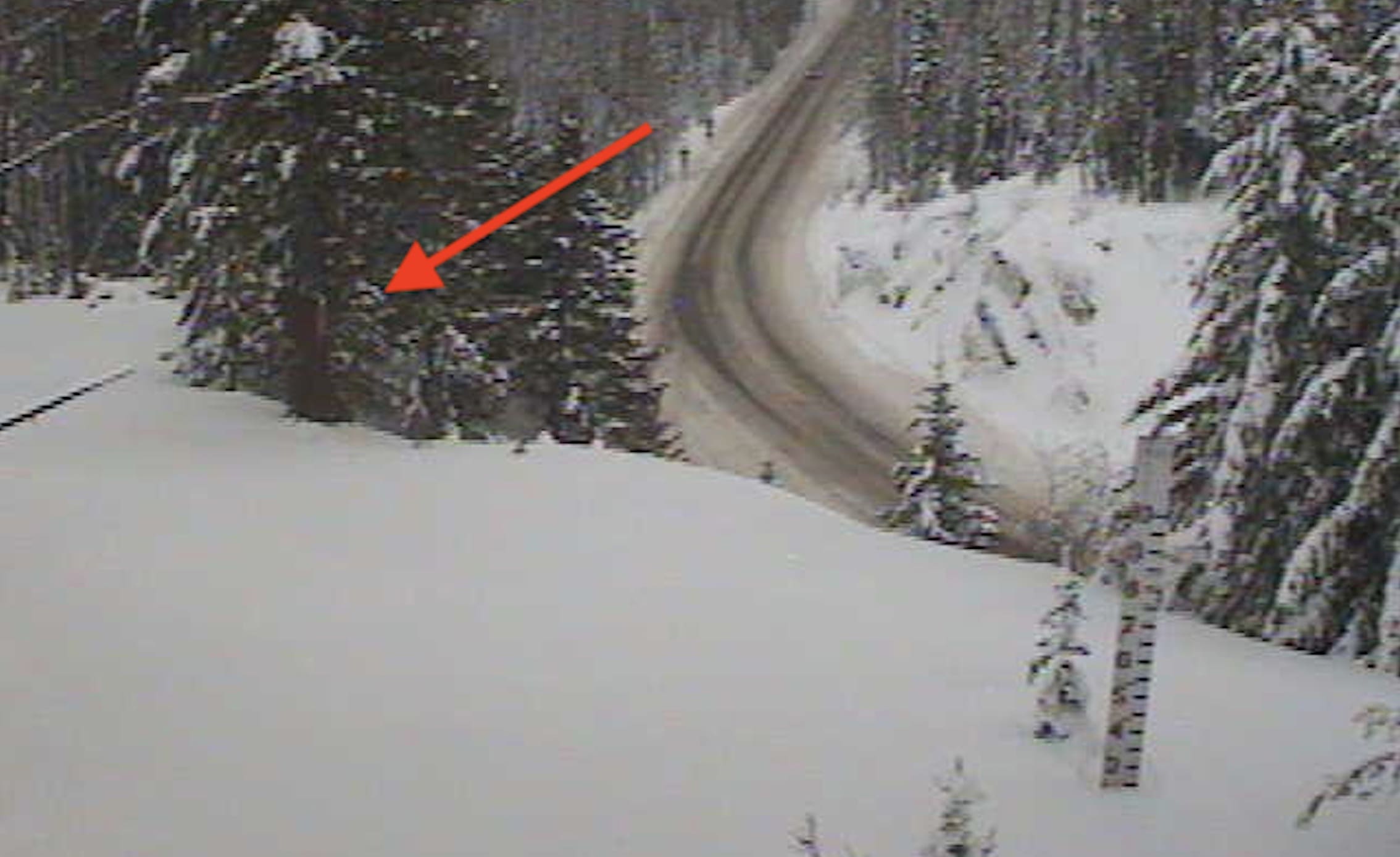 Washington State DOT Posts Images Of Big Foot Spotting - Unofficial ...
