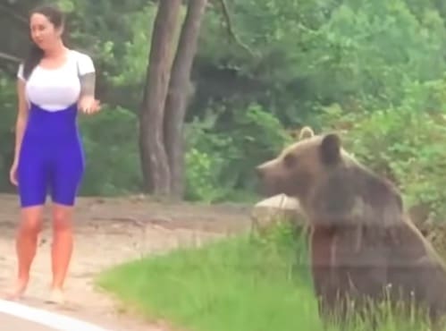 Wild Bear Lunges At Woman As She Poses Right Next To It - Unofficial ...