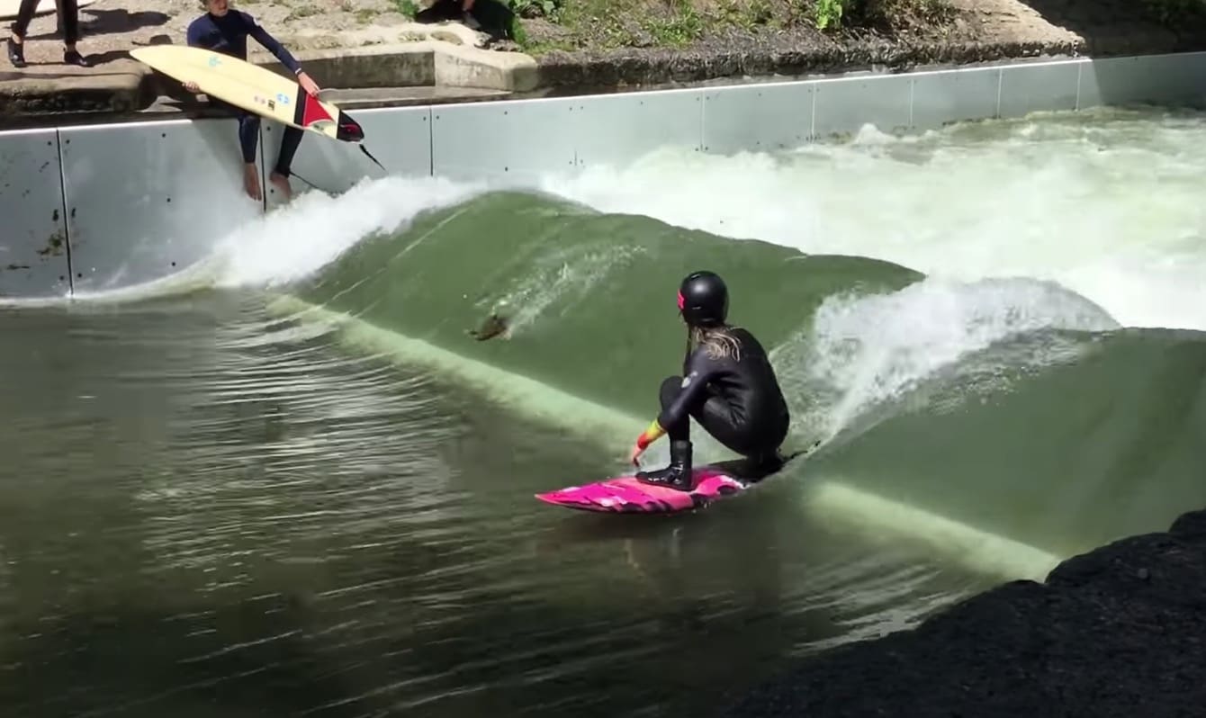 What The Duck...Did You Know Waterfowl Could Surf? - Unofficial Networks