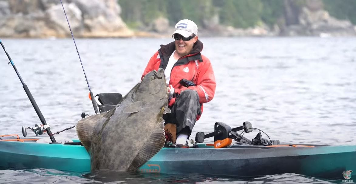WATCH: Kayaker Catches Monster Halibut In Alaska - Unofficial Networks