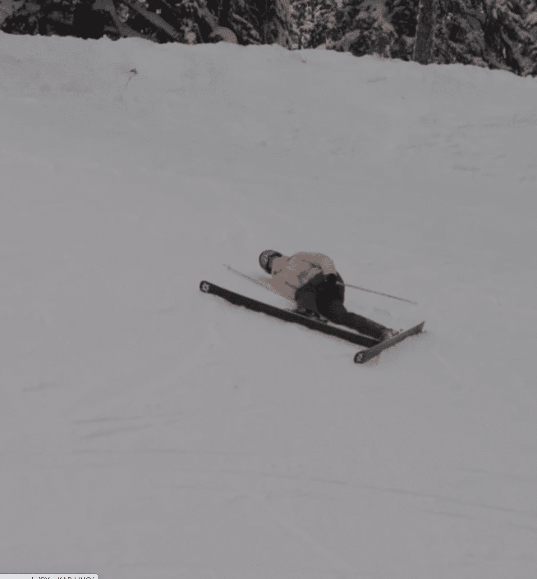 That One Skier Whose Legs Are Always Tired... - Unofficial Networks