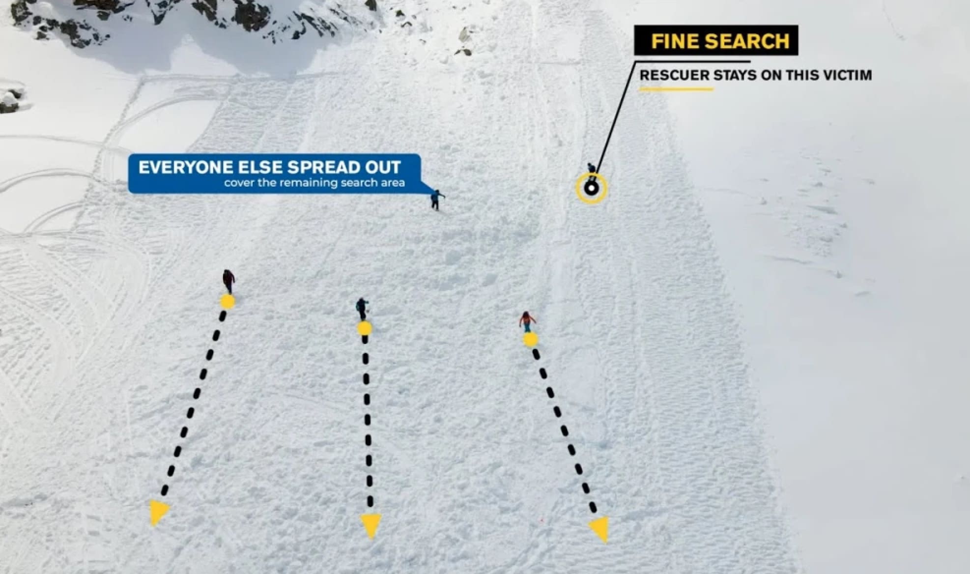 Rogue Signals & Lane Discipline...Lessons On Avalanche Group Searches ...