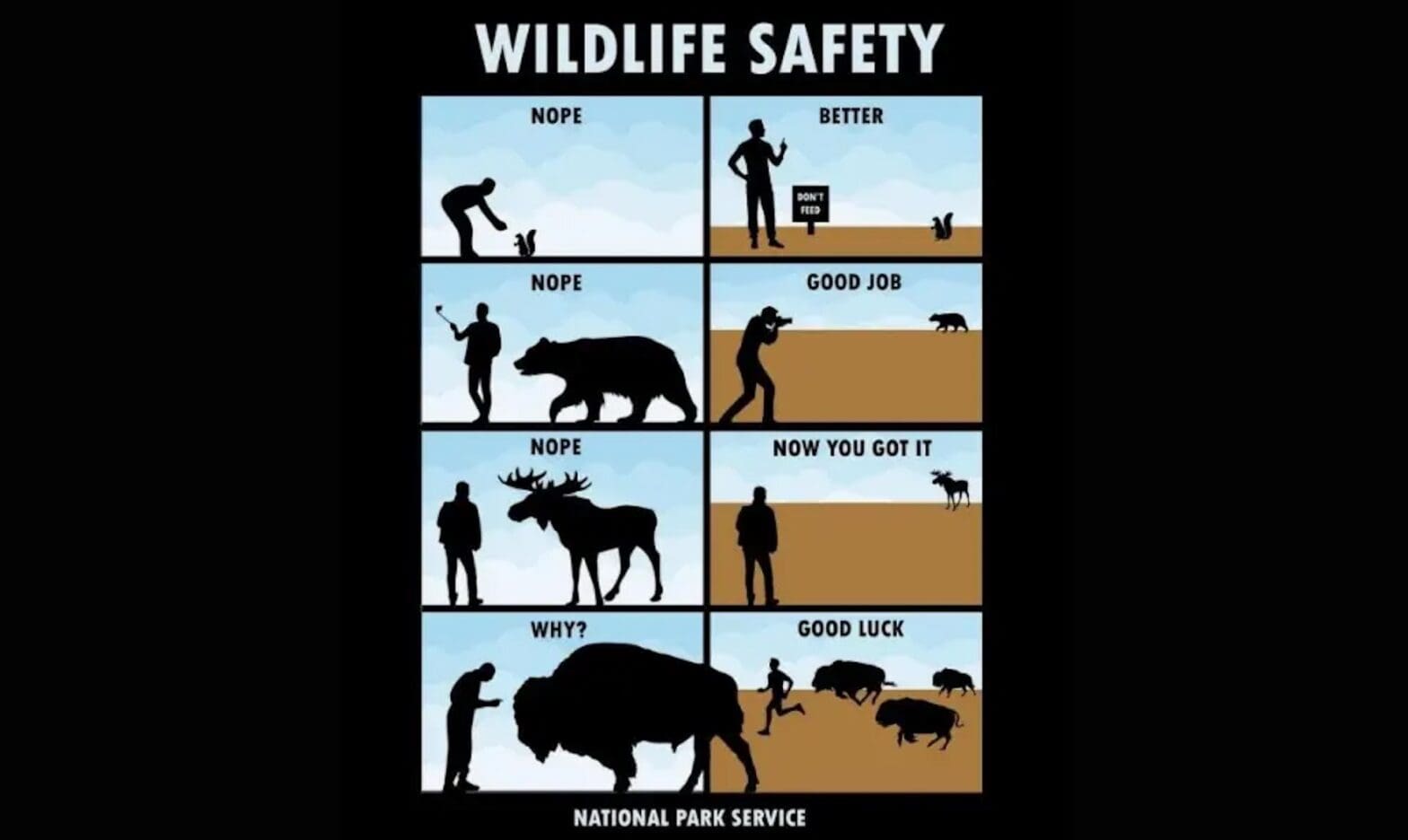National Parks Service Hilarious Guideline For Tourist Wildlife Safety ...