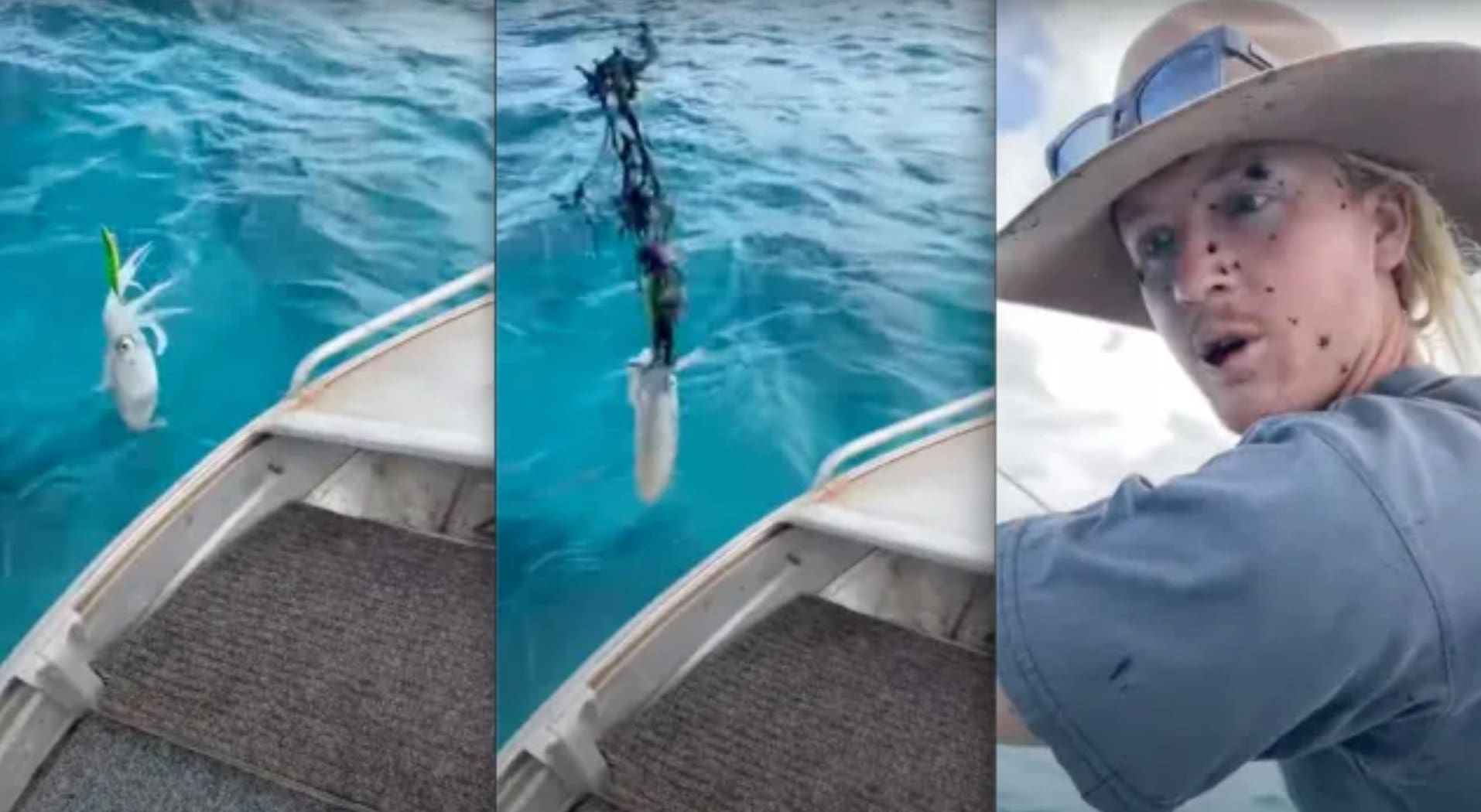 VIDEO: Fisherman Gets Face Full of Ink After Hooking A Squid ...
