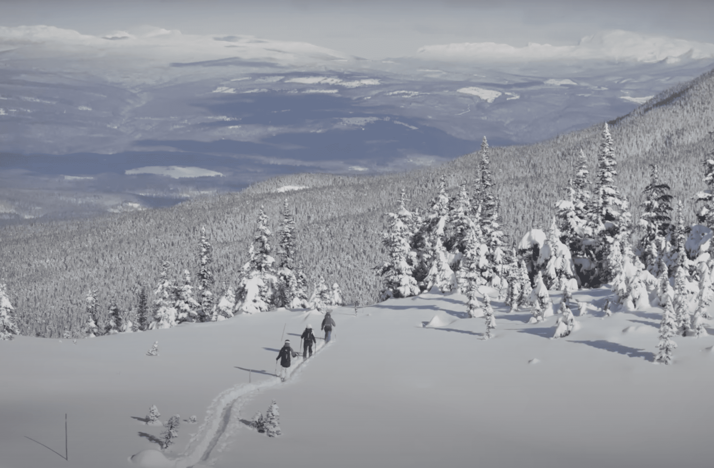 WATCH: Will Backcountry Ski Areas Signal Change For The Sport?