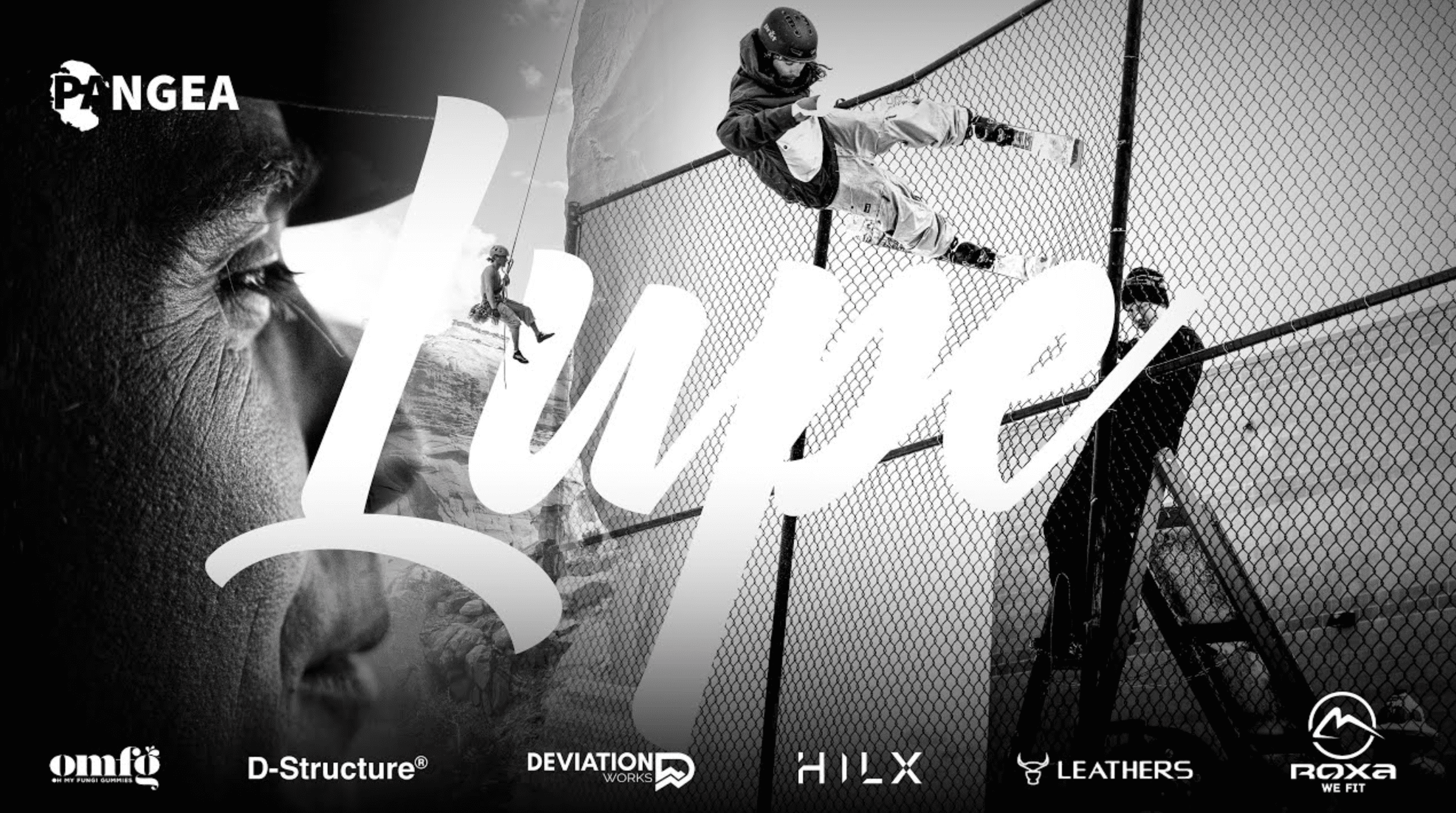 'Lupe': The Life Story Of A Professional Freeskier - Unofficial Networks