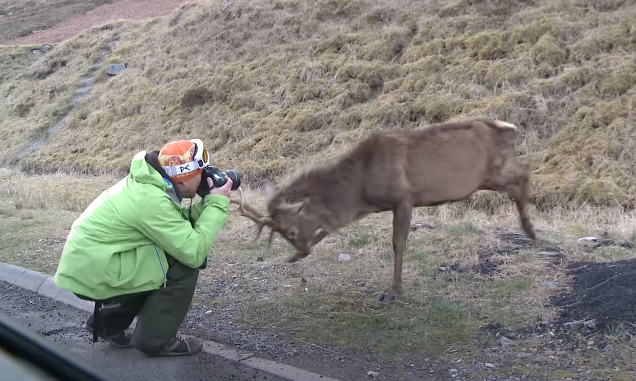 Adventure Photographer Attacked By Stag In Scotland - Unofficial Networks