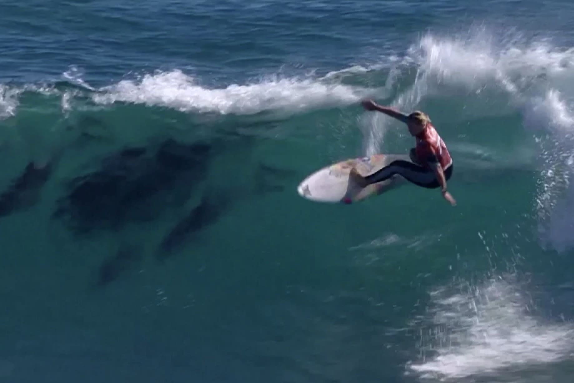 Dolphin Pod Joins Surfing Competition in Western Australia - Unofficial ...