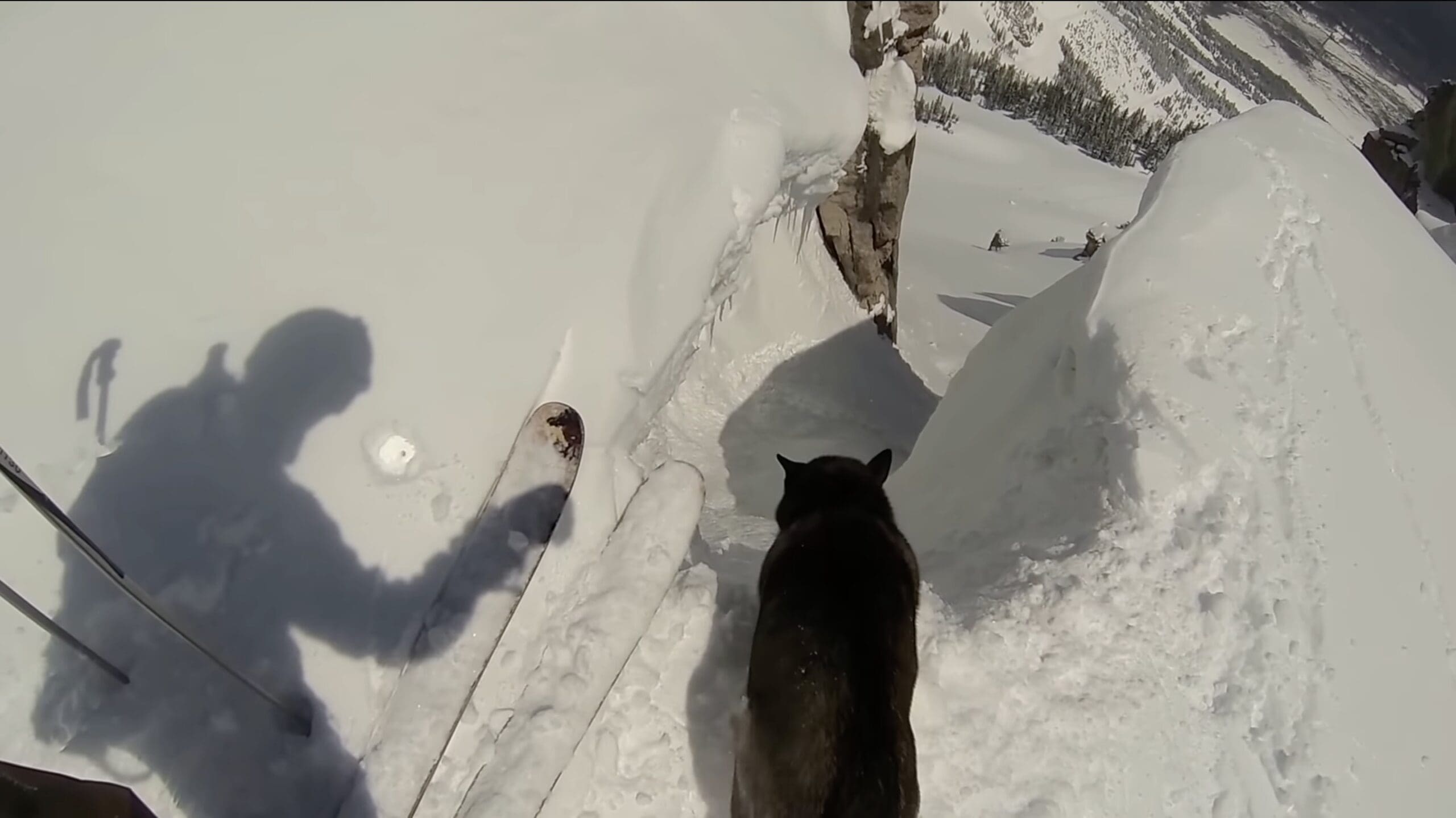 Nolan Deck - Journalist Profile - Intelligent Relations