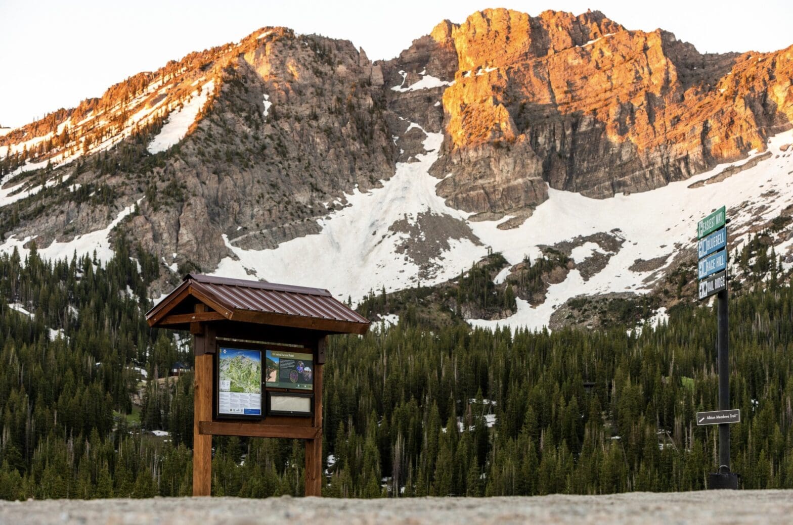 Alta Ski Area's Summer Road Now Open - Unofficial Networks