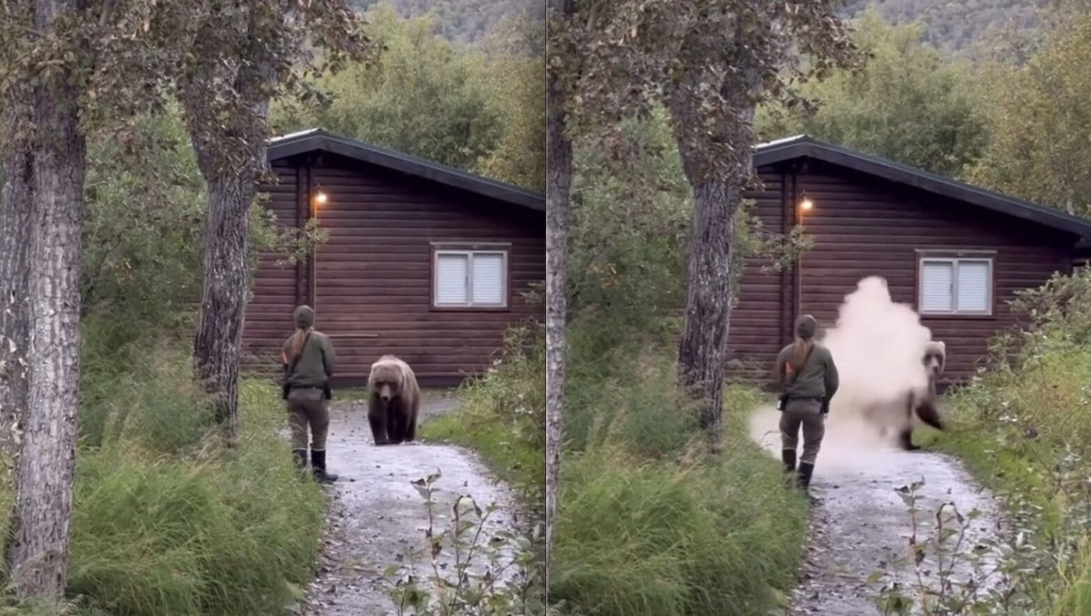 Park Ranger Stops Grizzly In Its Tracks With Cloud of Bear Spray ...