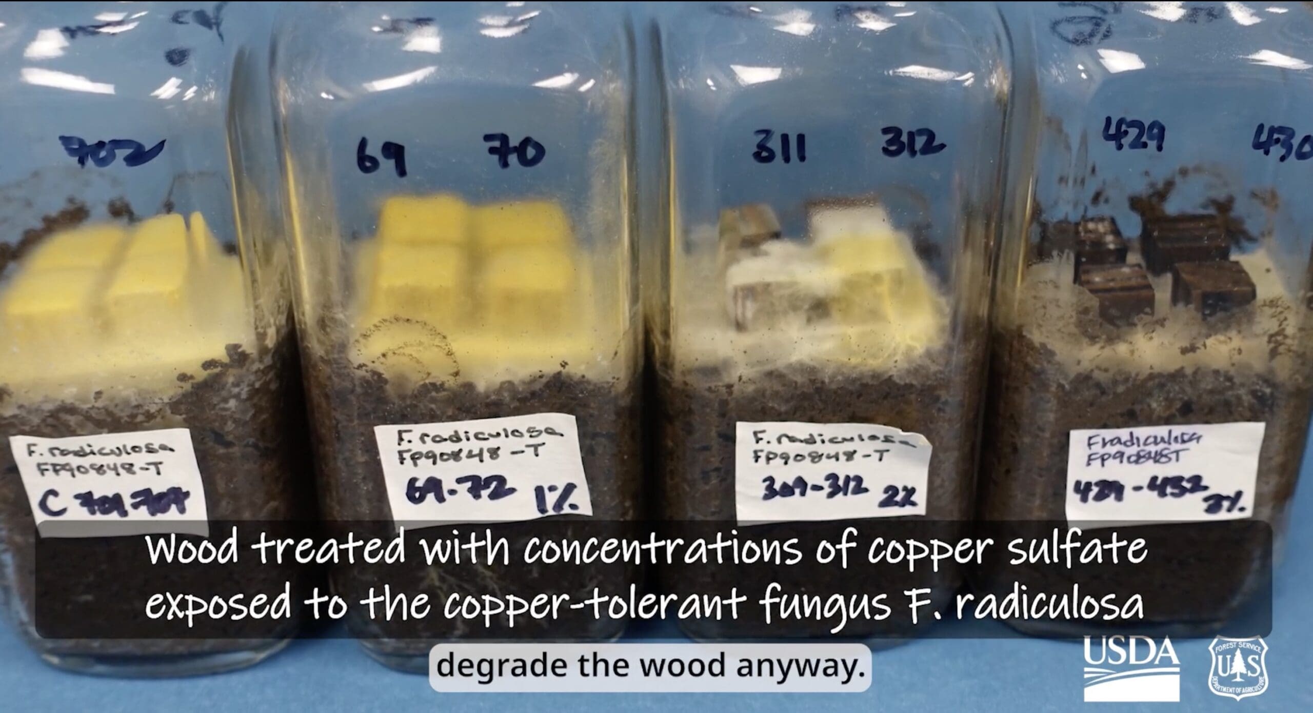 US Forest Service Has A Dedicated Laboratory For Wood & Fiber ...