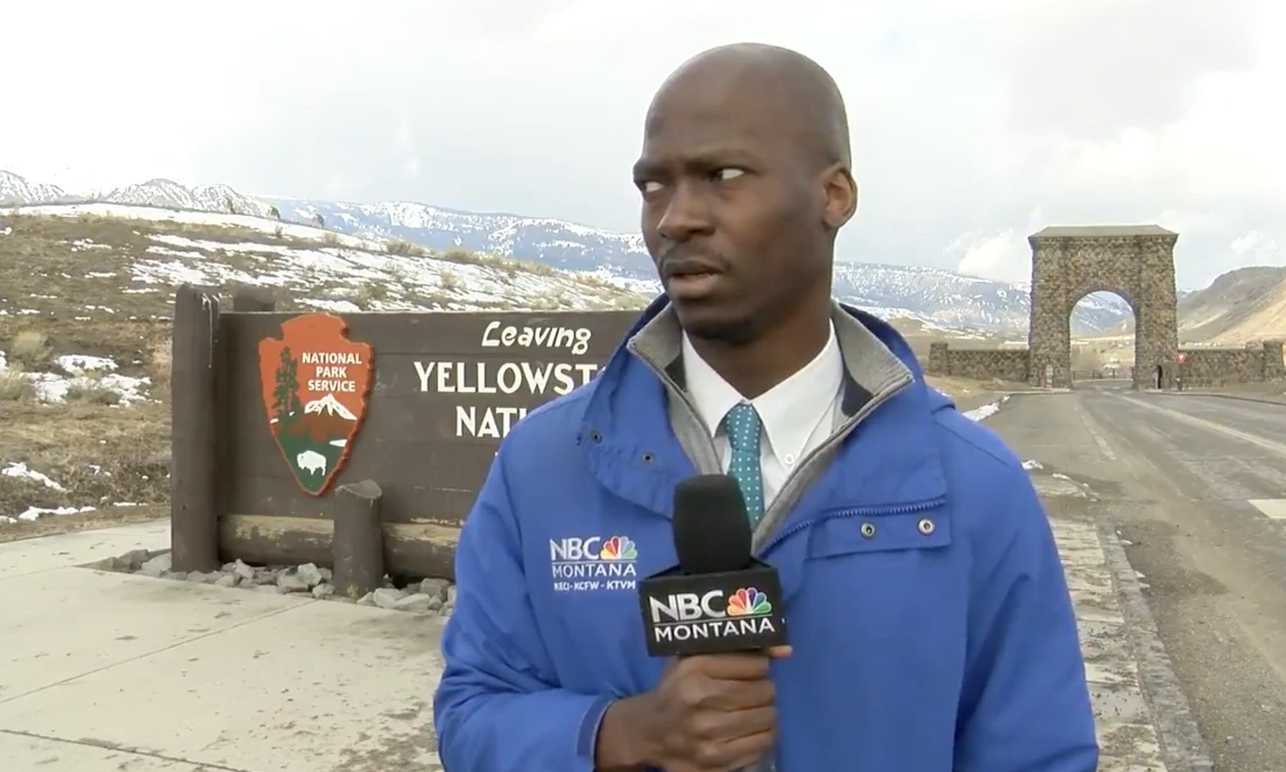 Celebrating The Reporter Who Went Viral @ Yellowstone National Park ...