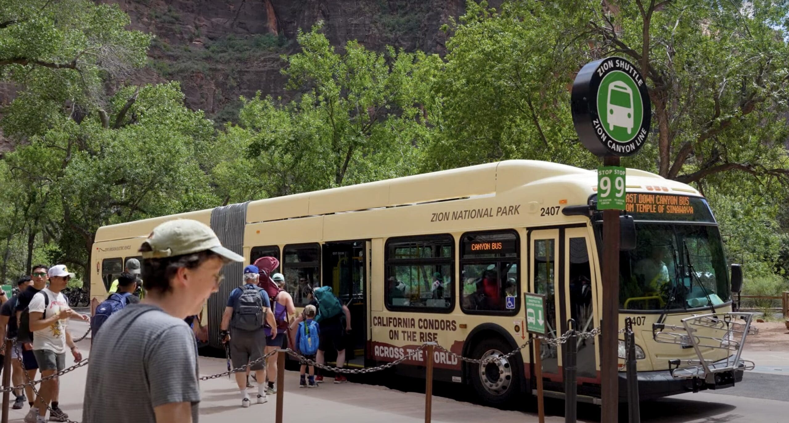 How To Use Zion National Park New Zero-Emission Shuttle Bus Fleet ...