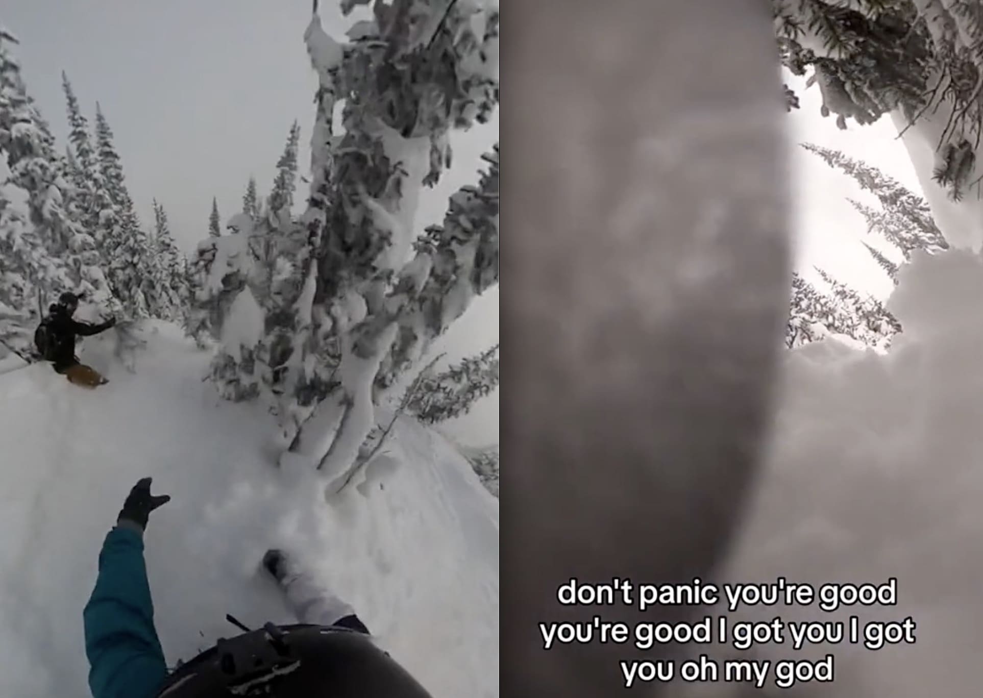 Snowboarder Rescued From Tree Well After A Fall @ Crystal Mountain ...