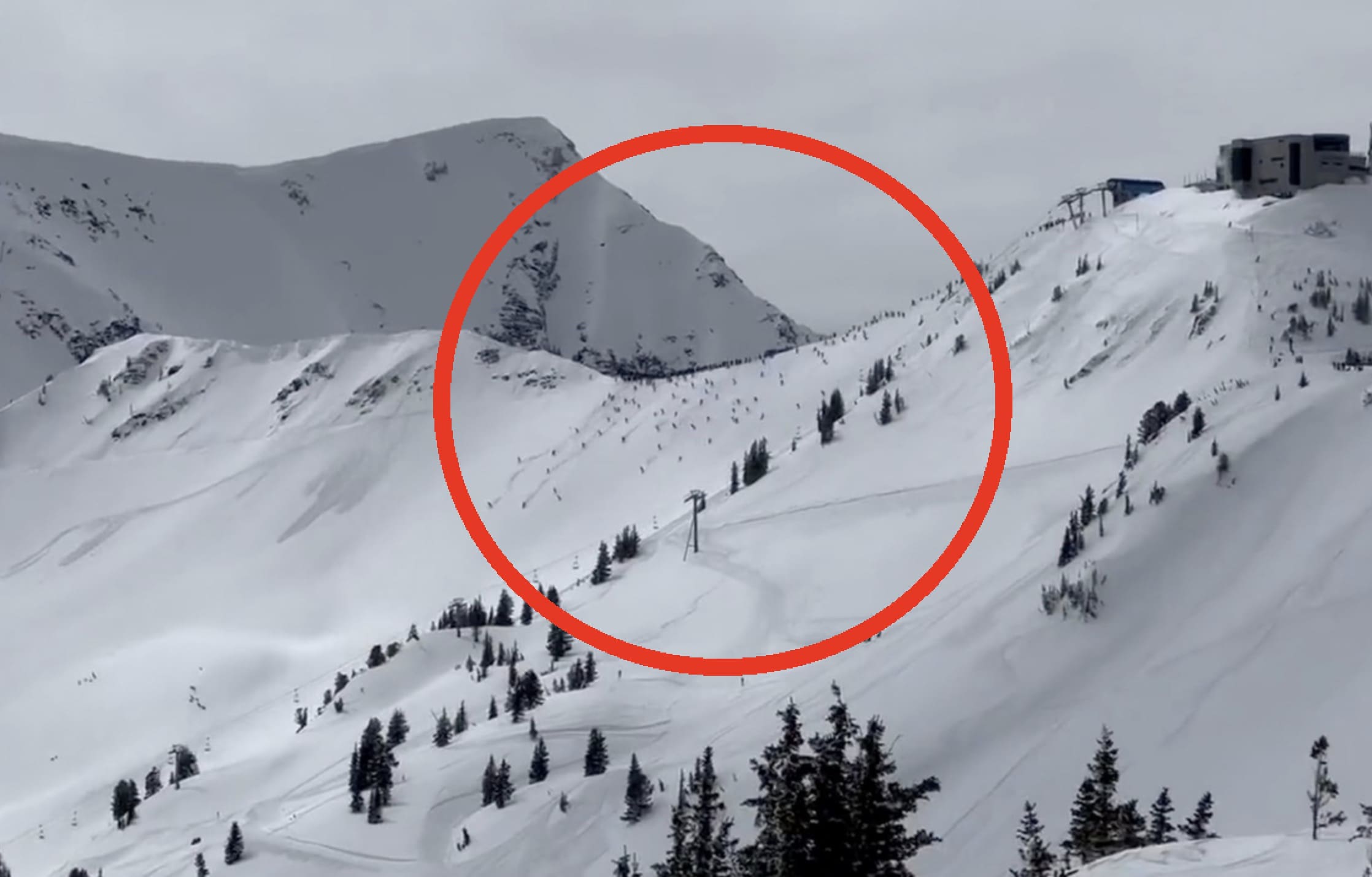 The Beautiful Chaos of Rope Drops @ Snowbird, Utah - Unofficial Networks