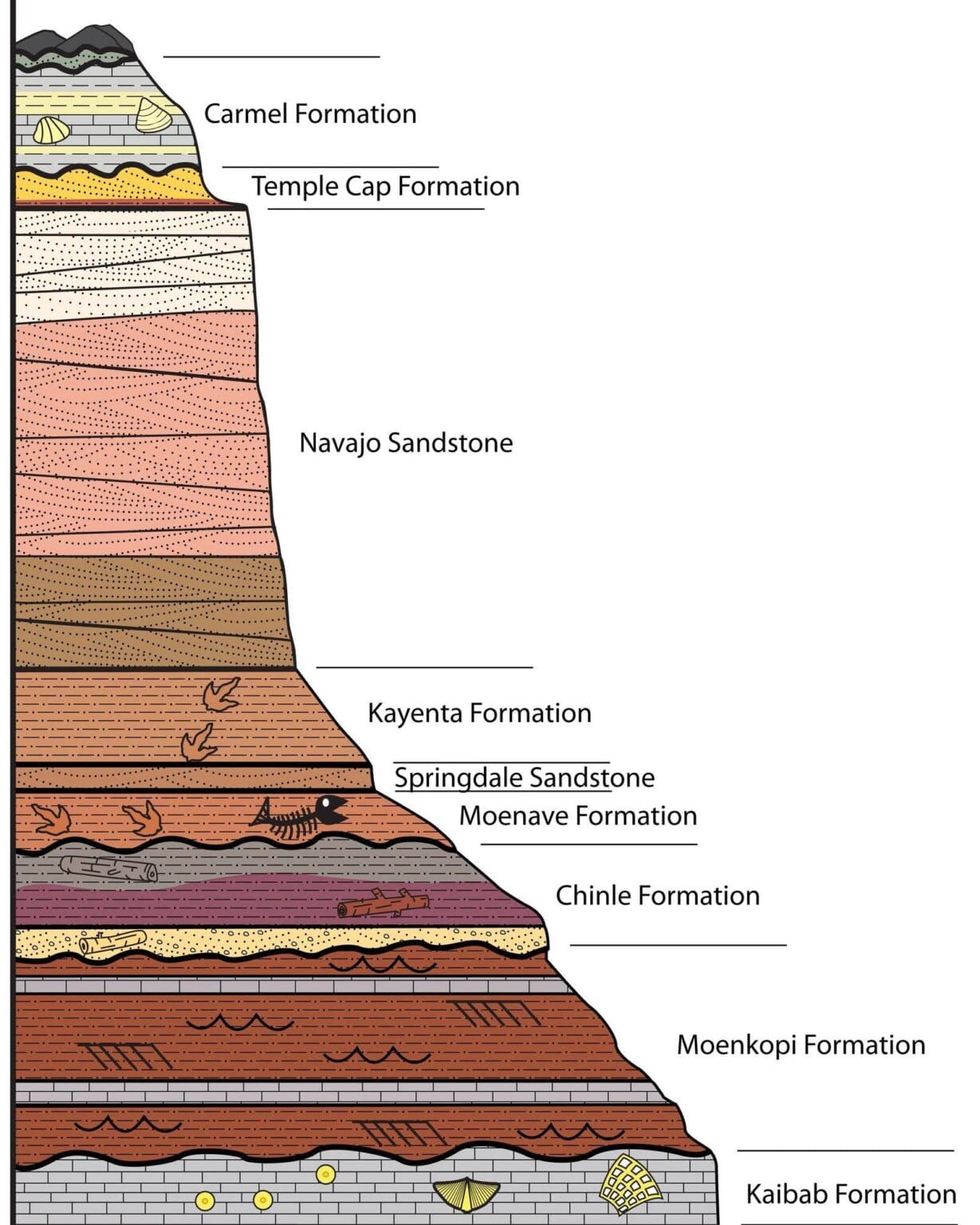 Fascinating Explanation of Zion National Park's Rock Formations ...