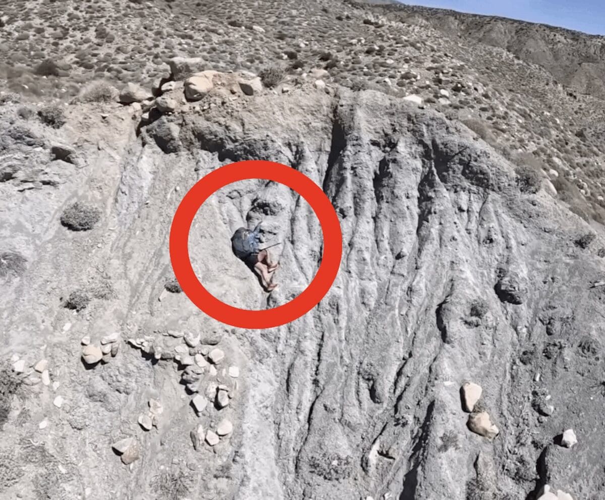 Daring Rescue of California Hiker "Death Gripping" To Steep Cliff ...