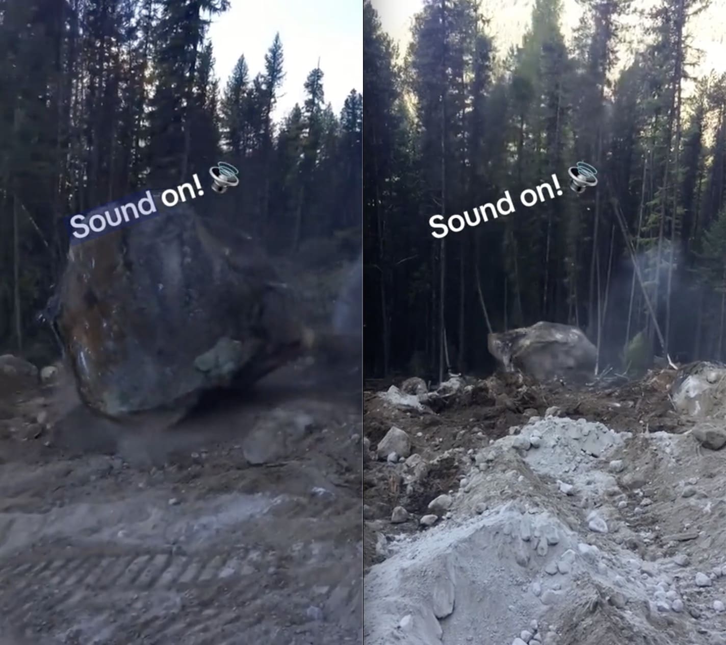 Slow Rolling Boulder Smashes Through Forest With Ease - Unofficial Networks