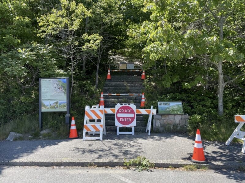 Trespass Citations Surge During Peregrine Falcon Nesting @ Acadia ...