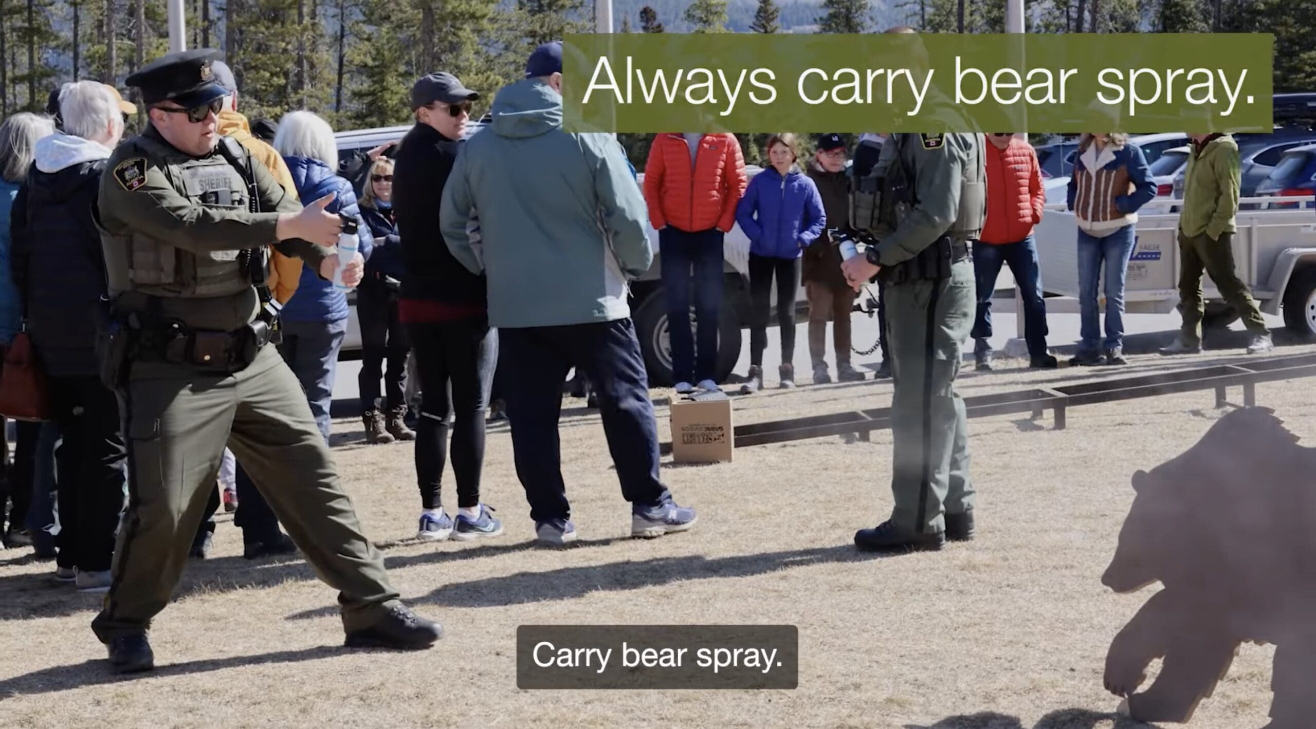 Alberta Parks Share Safety Tips For Recreating In Grizzly Bear Country ...