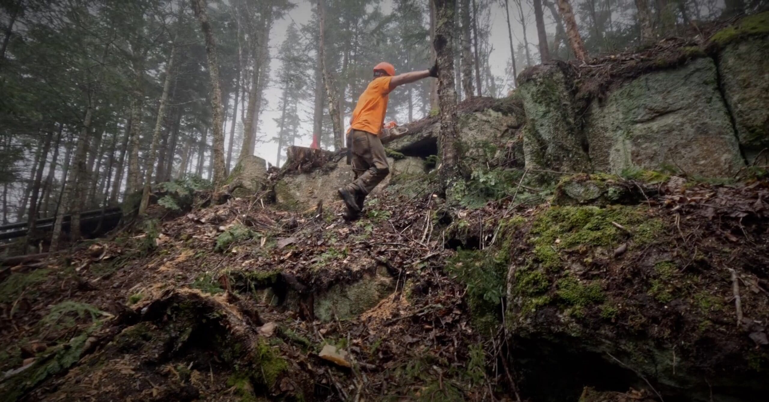 New Hampshire Ski Area Gives First Look At New Glade - Unofficial Networks