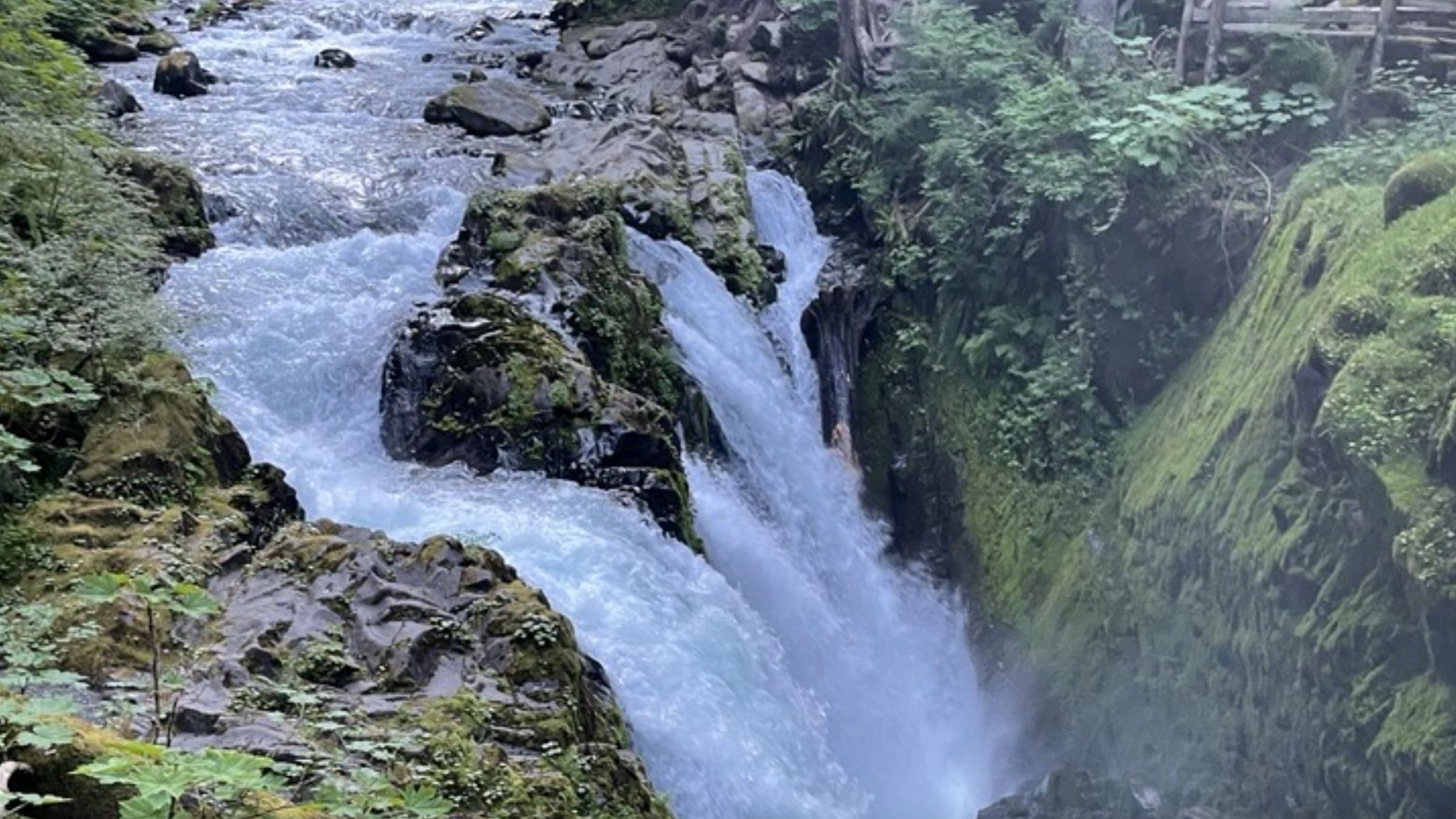 18-Year-Old Dies After Falling Over The 50 Foot Sol Duc Falls In ...