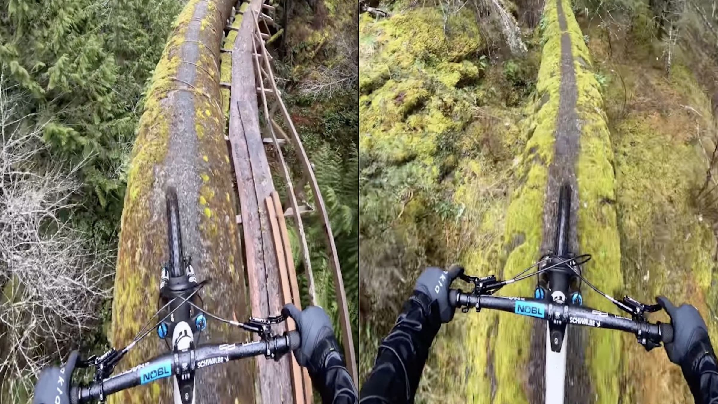 Biking An Abandoned Moss-Covered Pipeline On Vancouver Island ...