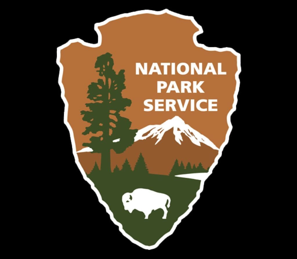 Tourists Pitch Tent Within Feet of Bison @ Yellowstone National Park ...