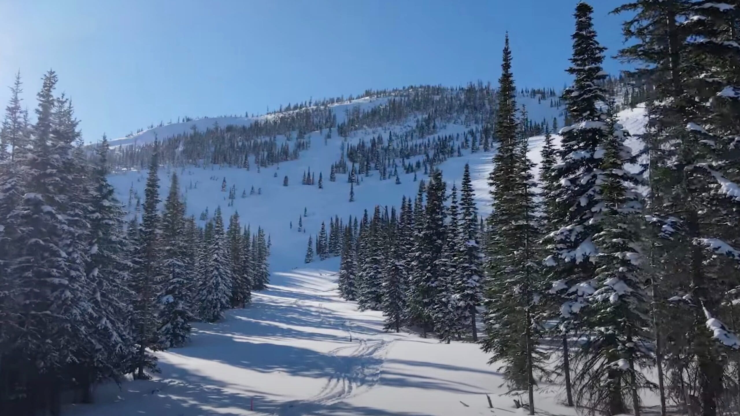 Canadian Ski Resort Gives Status Report On Terrain Expansion & New ...