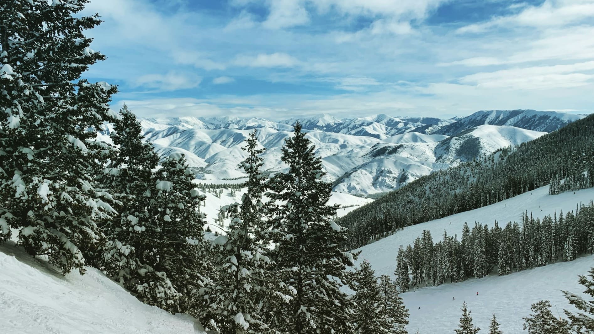 American Airlines Announces New Routes To Sun Valley - Unofficial Networks