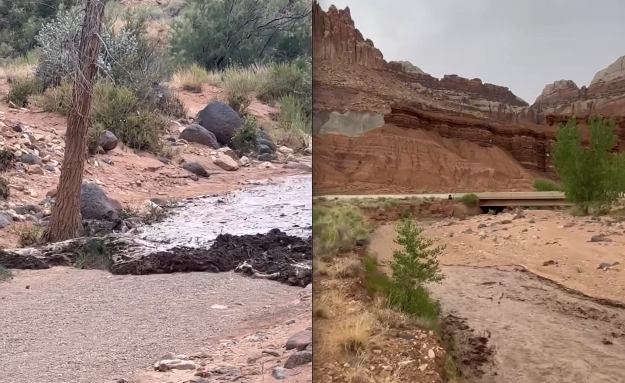 Utah Flash Flood Caught On Video By Former National Park Superintendent ...