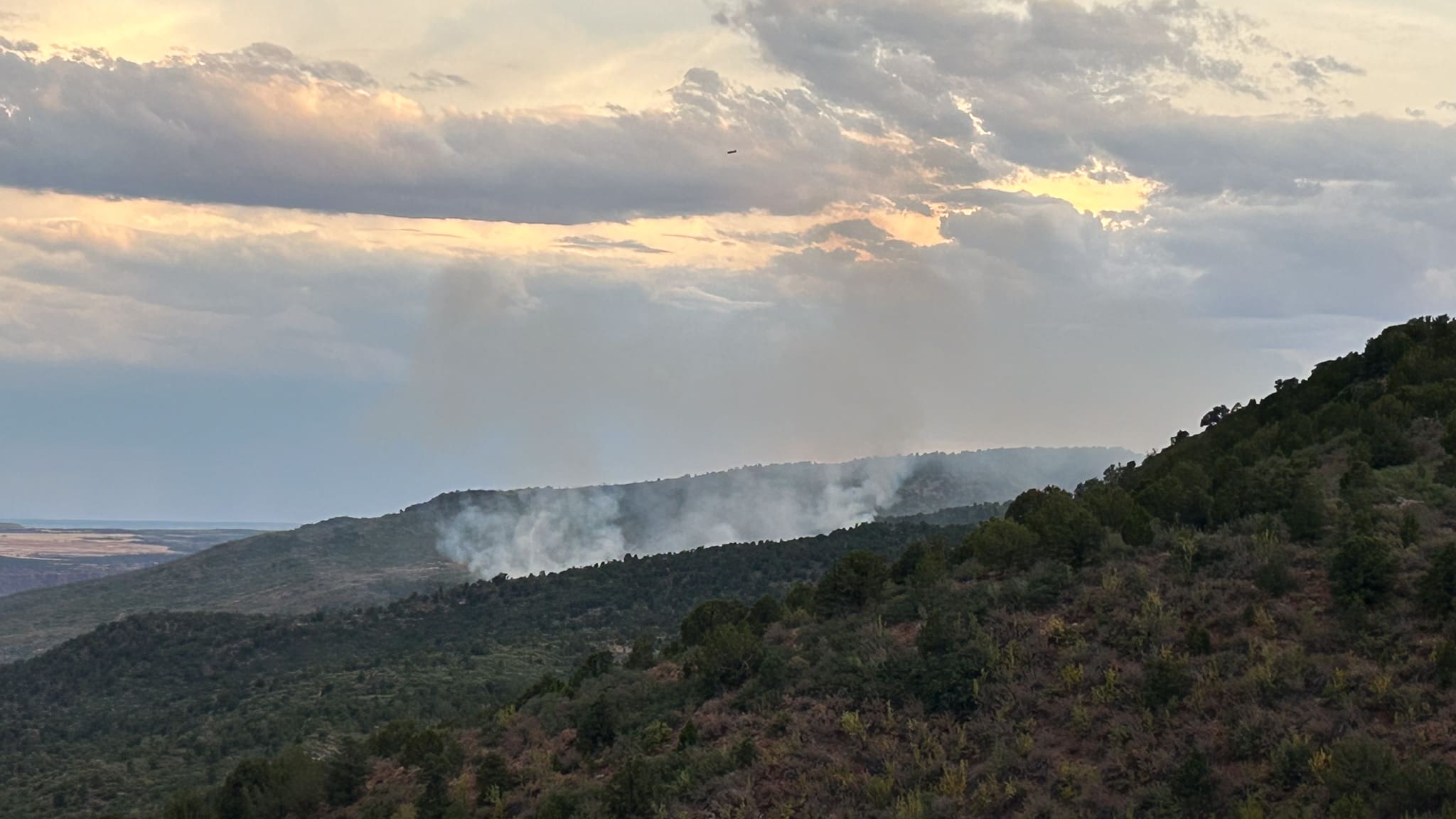 16 Acre Wildfire Reported @ Zion National Park - Unofficial Networks