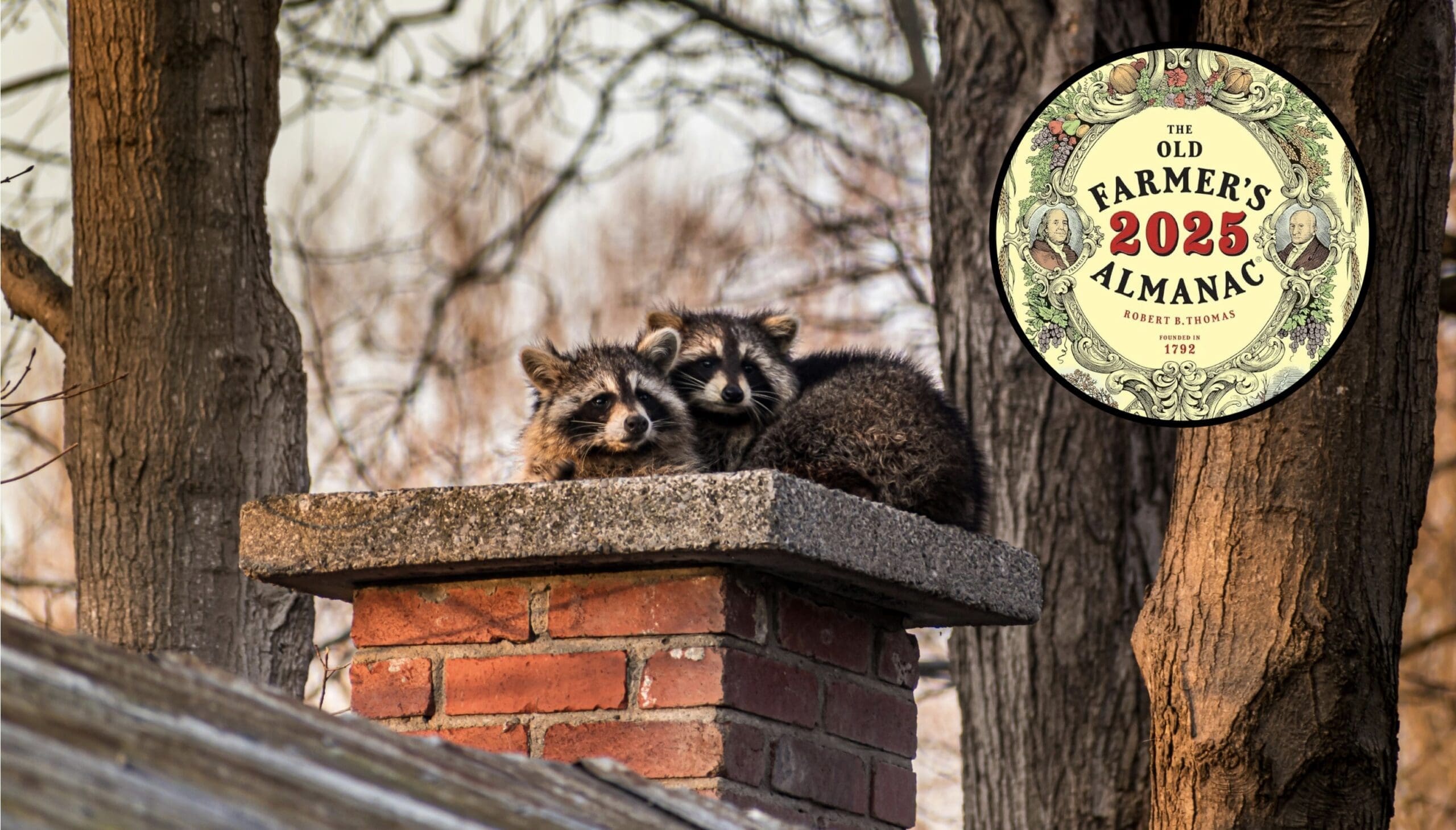 15 Signs Of An Incoming Cold And Snowy Winter According To The Farmers' Almanac - Unofficial ...