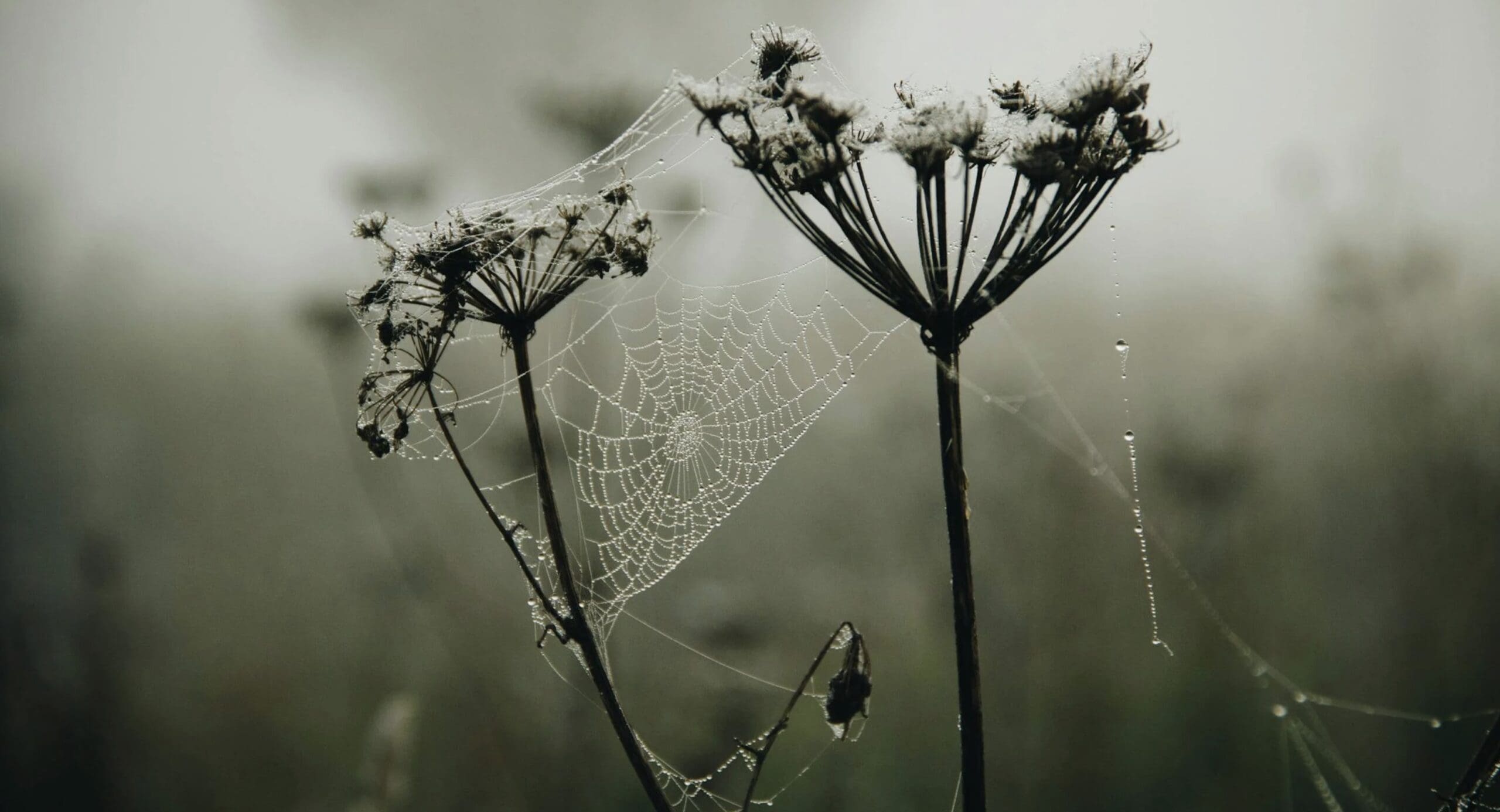 Signs of Harsh Winter Weather You Should Know - Unofficial Networks