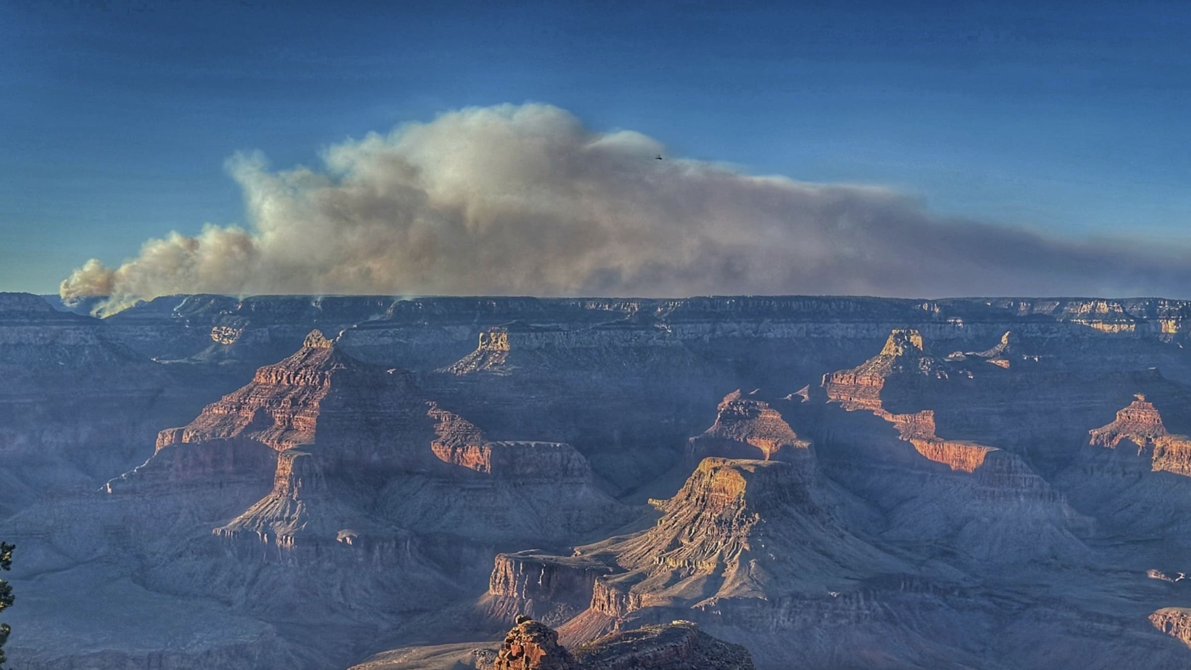 Dragon Bravo Fire At Grand Canyon Grows Over 130K Acres - Unofficial ...