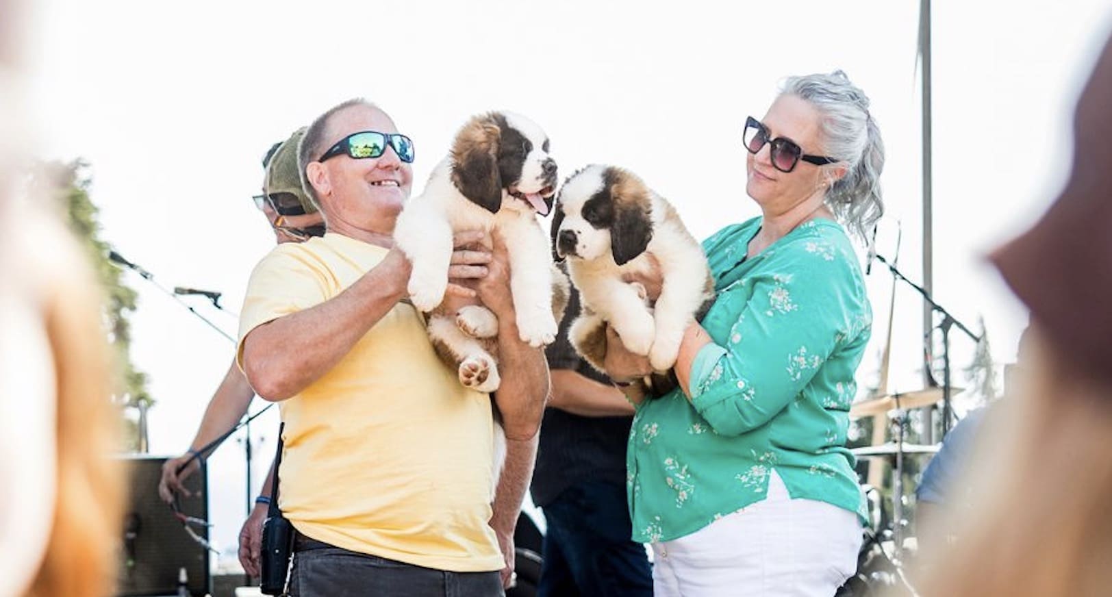 Timberline Lodge Welcomes New St. Bernards Puppies - Unofficial Networks