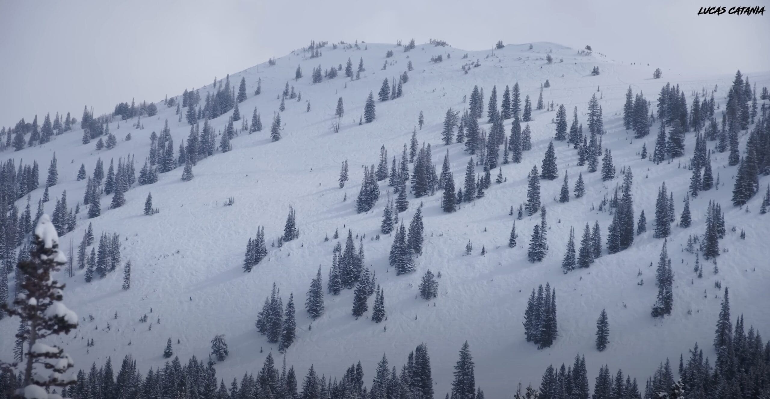 The Best Expert Terrain Pods At Park City Mountain Resort - Unofficial ...