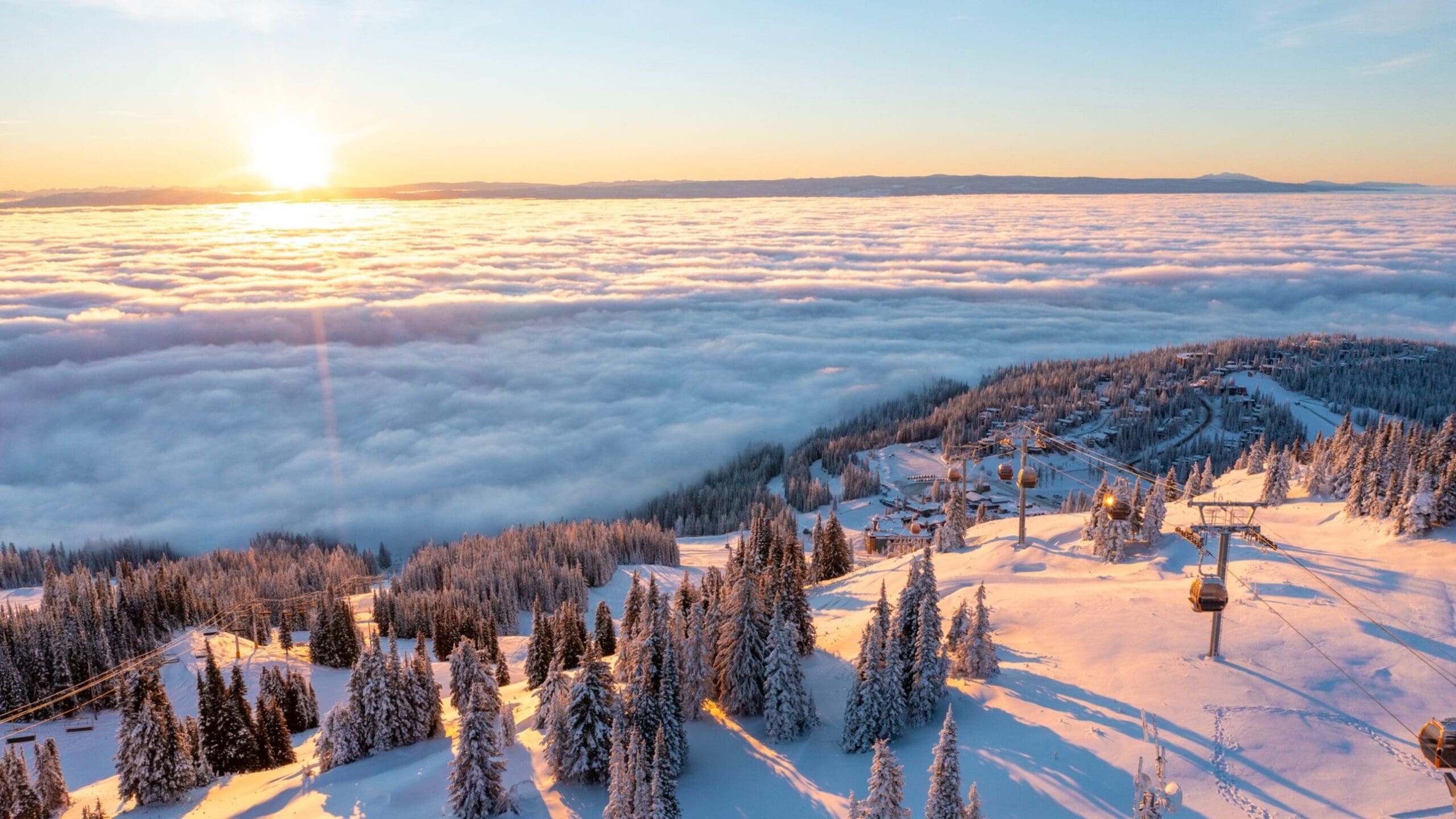 Canadian Ski Resort Adding New Glades For 2025-26 Season - Unofficial ...