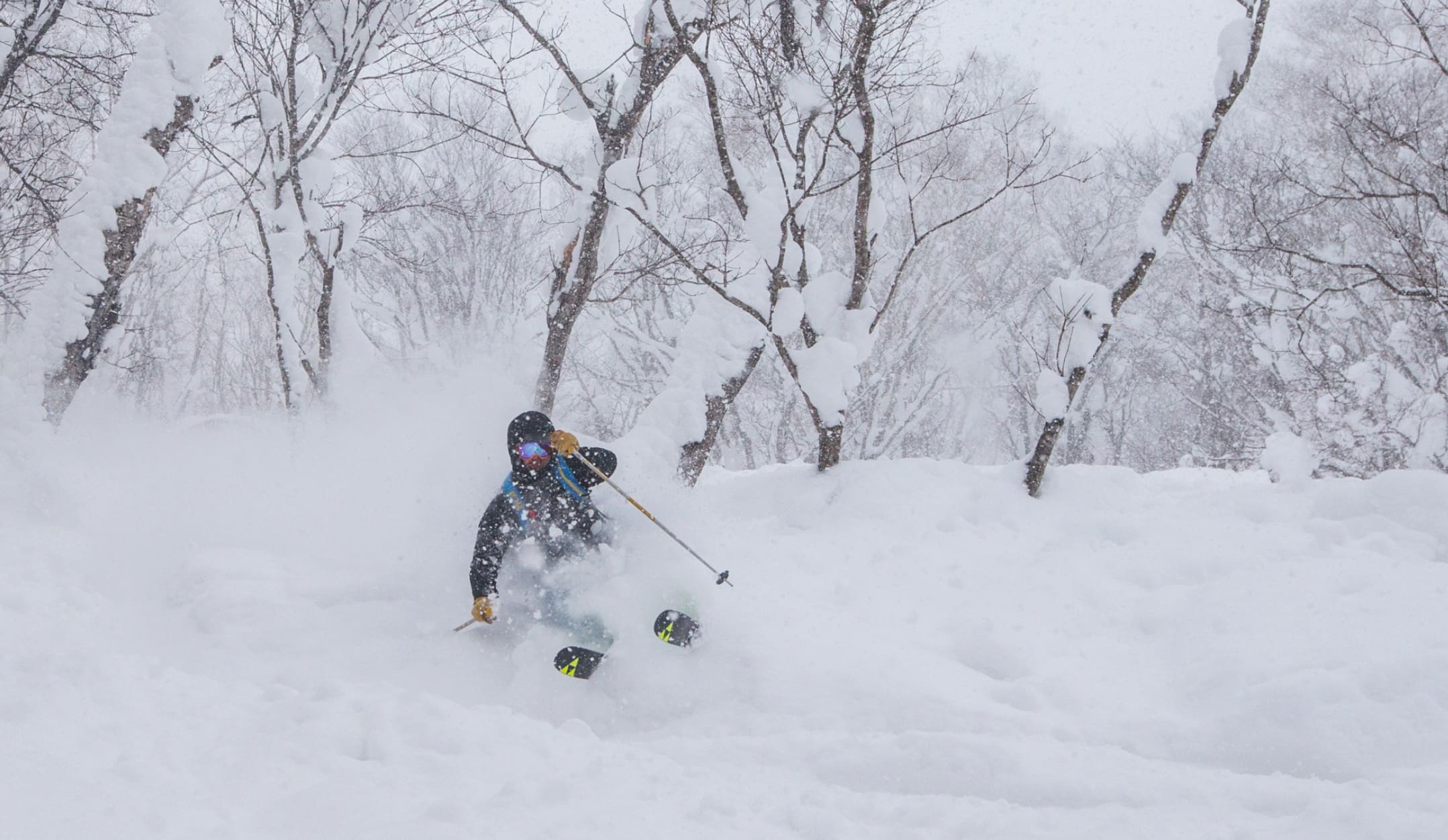Best Tree Skiing: Top Ski Resorts Revealed - Unofficial Networks