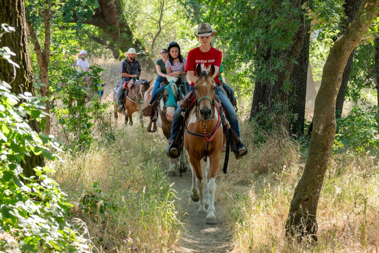 California Expands Free State Park Access Program Amid Government ...