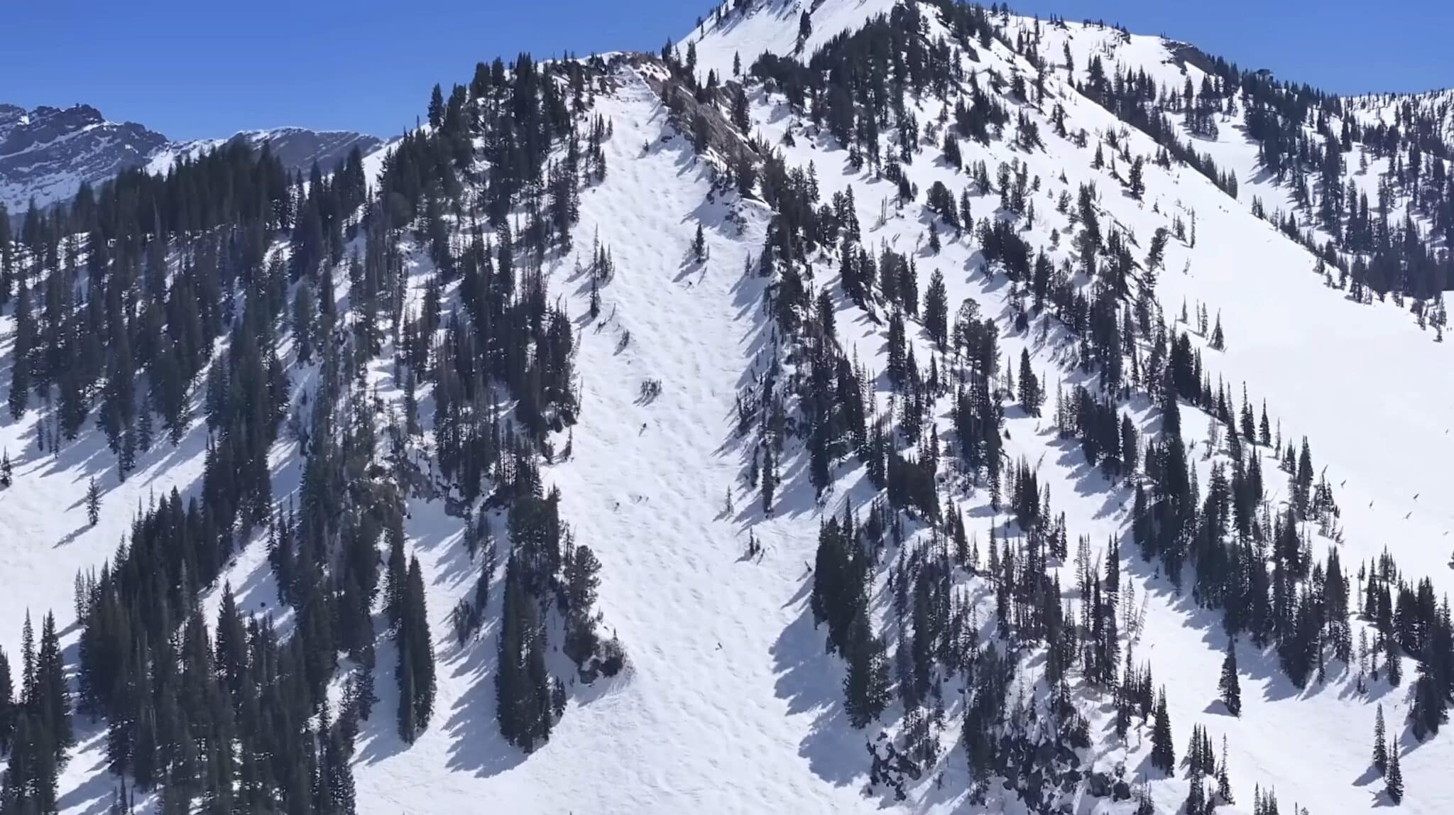 Unofficial Alta Ski Area | Alta ski news, weather and reports