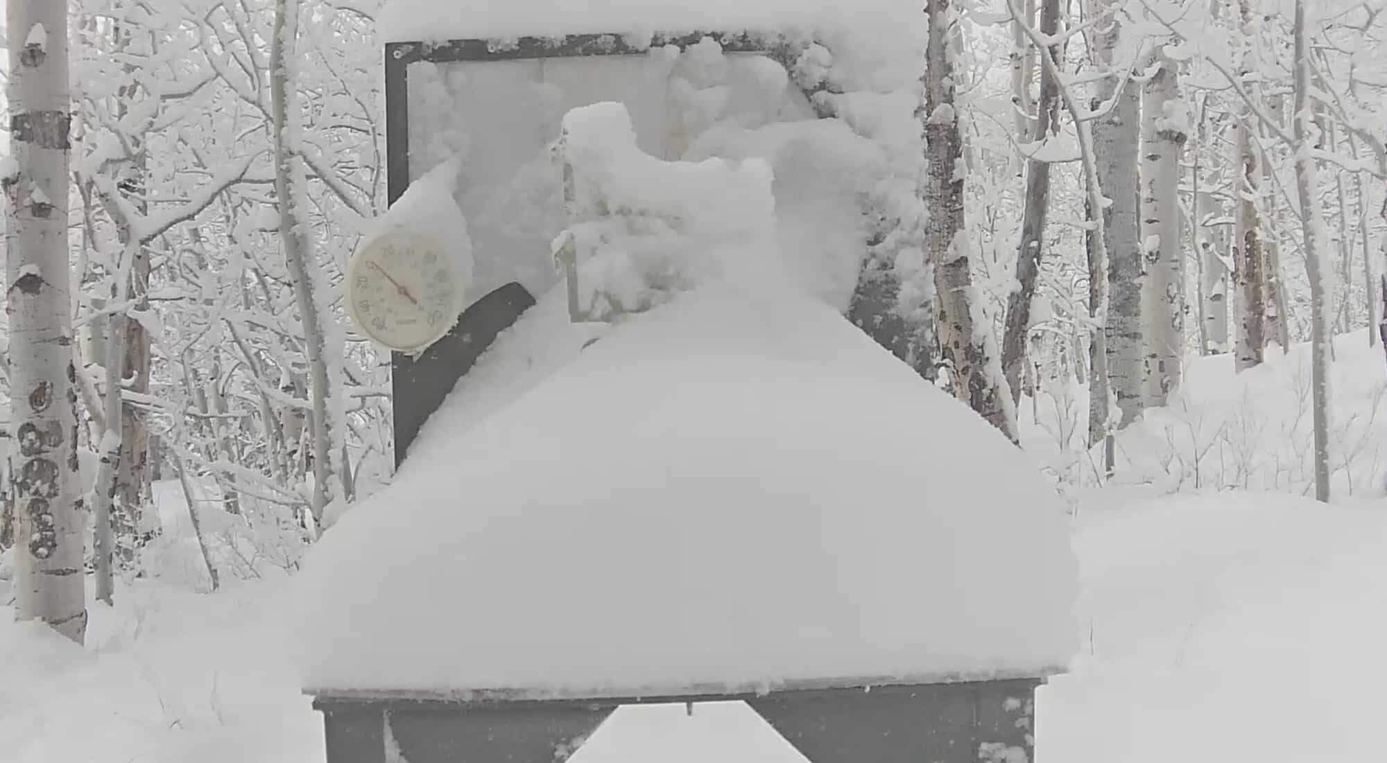 These 6 U.S. Ski Resorts Saw 12+ Inches Of Snow In The Last 24 Hours ...
