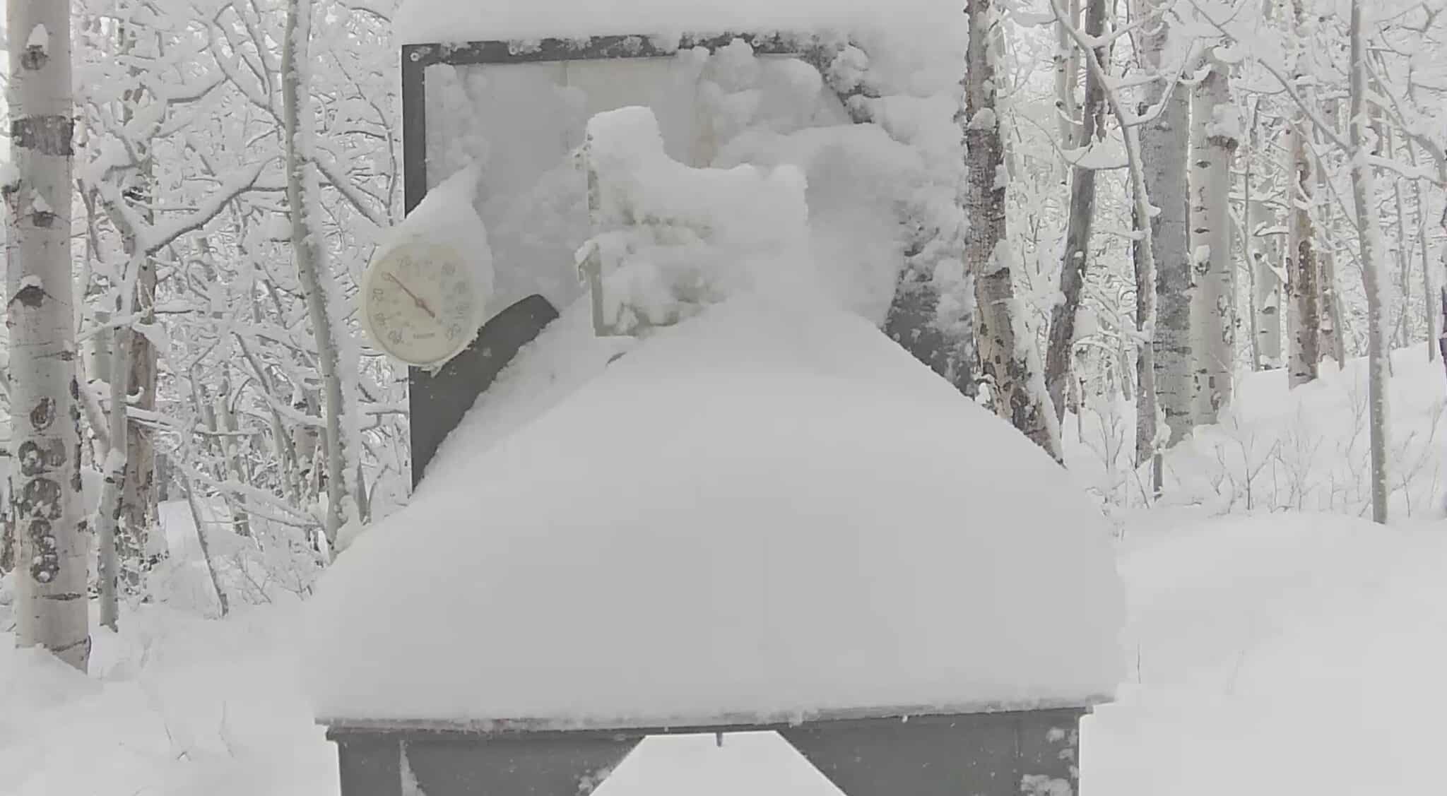 These 6 U.S. Ski Resorts Saw 12+ Inches Of Snow In The Last 24 Hours ...