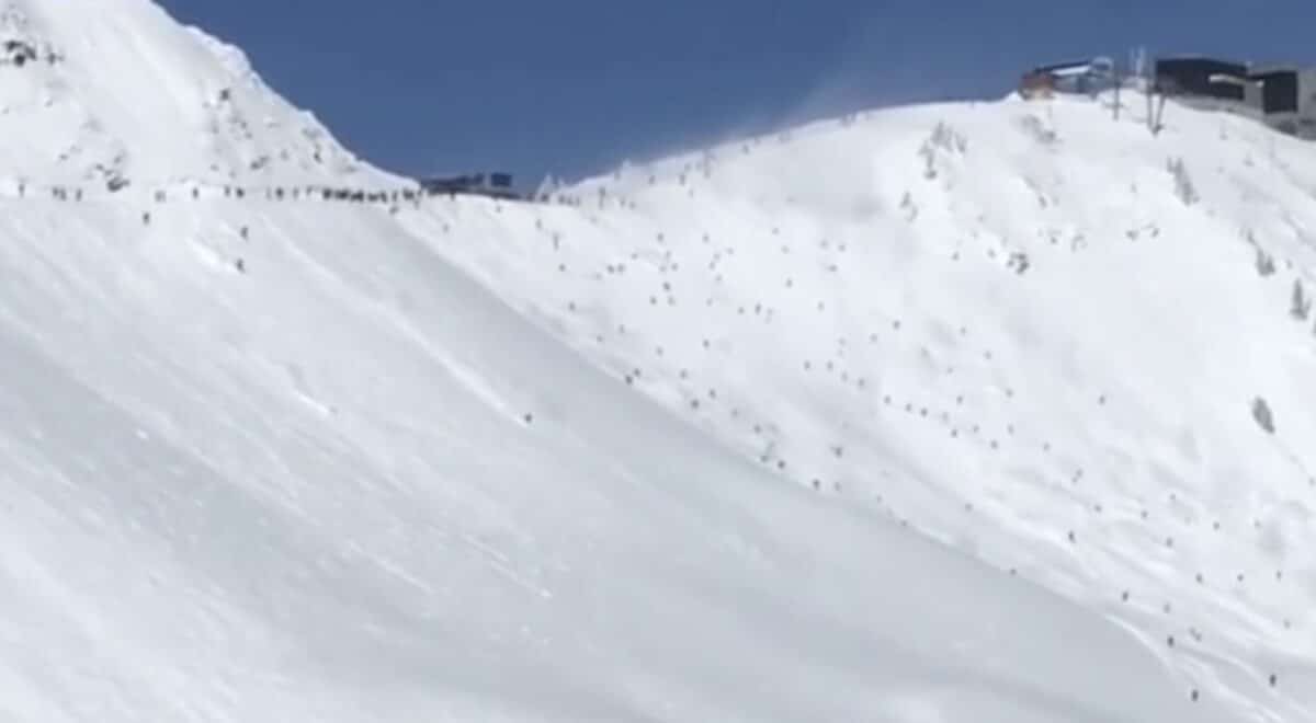Nothing Beats The Chaos Of Rope Drop At Snowbird, Utah - Unofficial ...