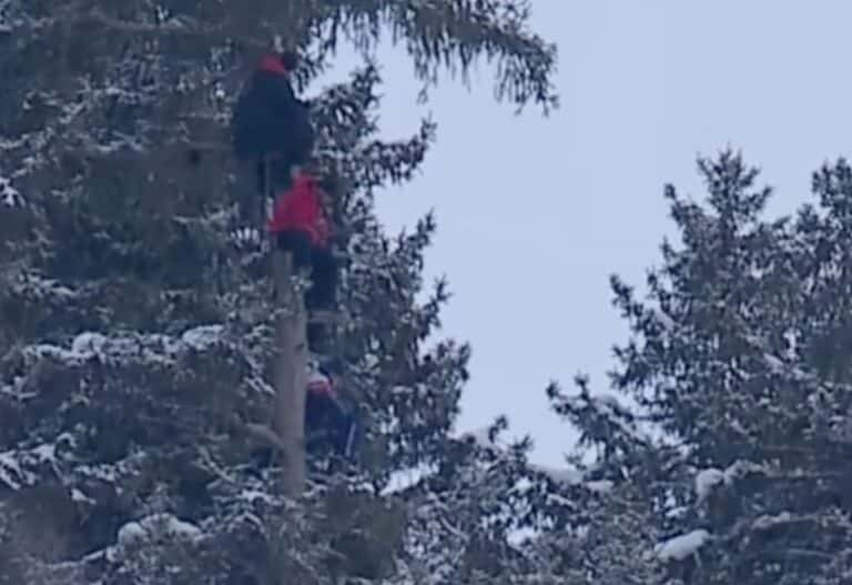 Olympic Ski Coaches Are Climbing Trees To Scout The Downhill Course ...