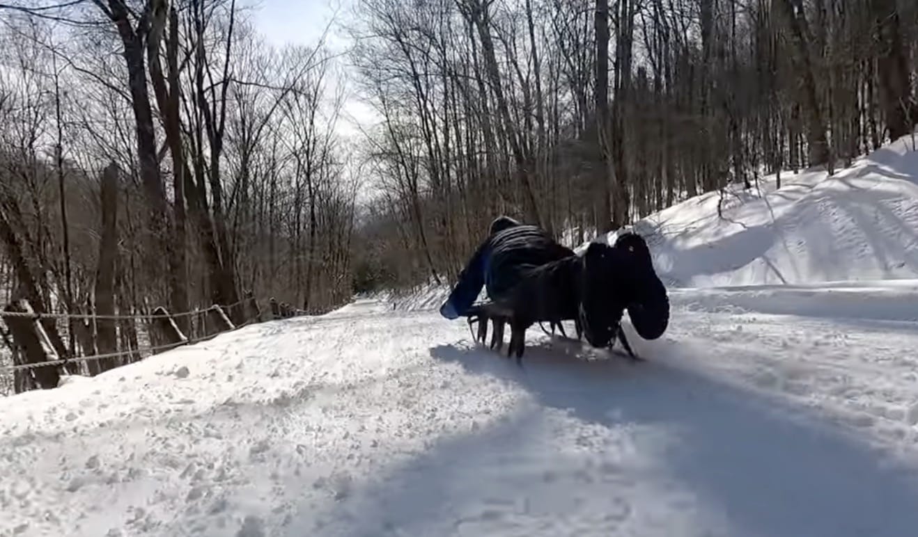 The Longest Sledding Run in Massachusetts Stretches Nearly 2 Miles ...