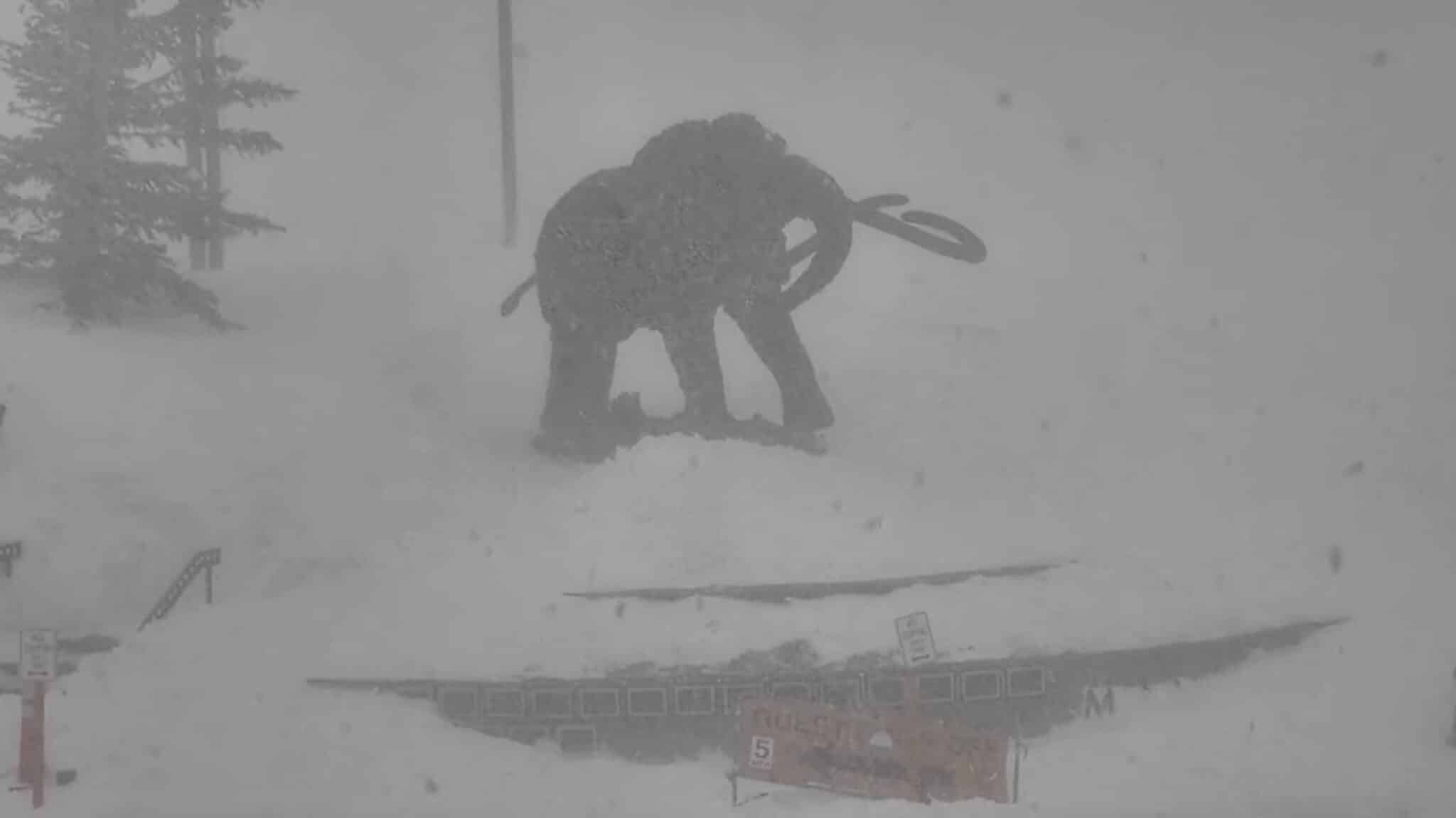 Mammoth Mountain Warns Of Snow Immersion Suffocation Risks With Heavy ...