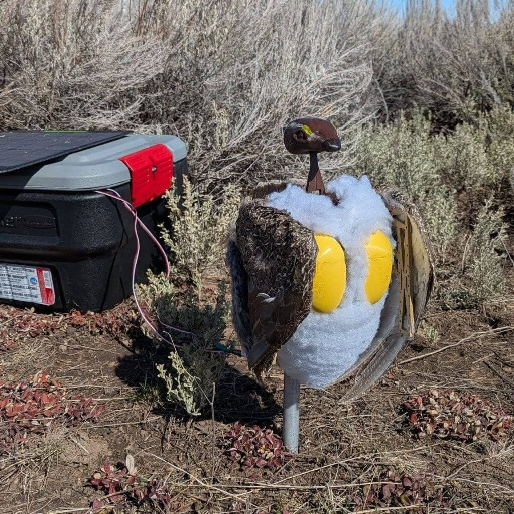 Robotic Grouse Deployed in Grand Teton National Park - Unofficial Networks